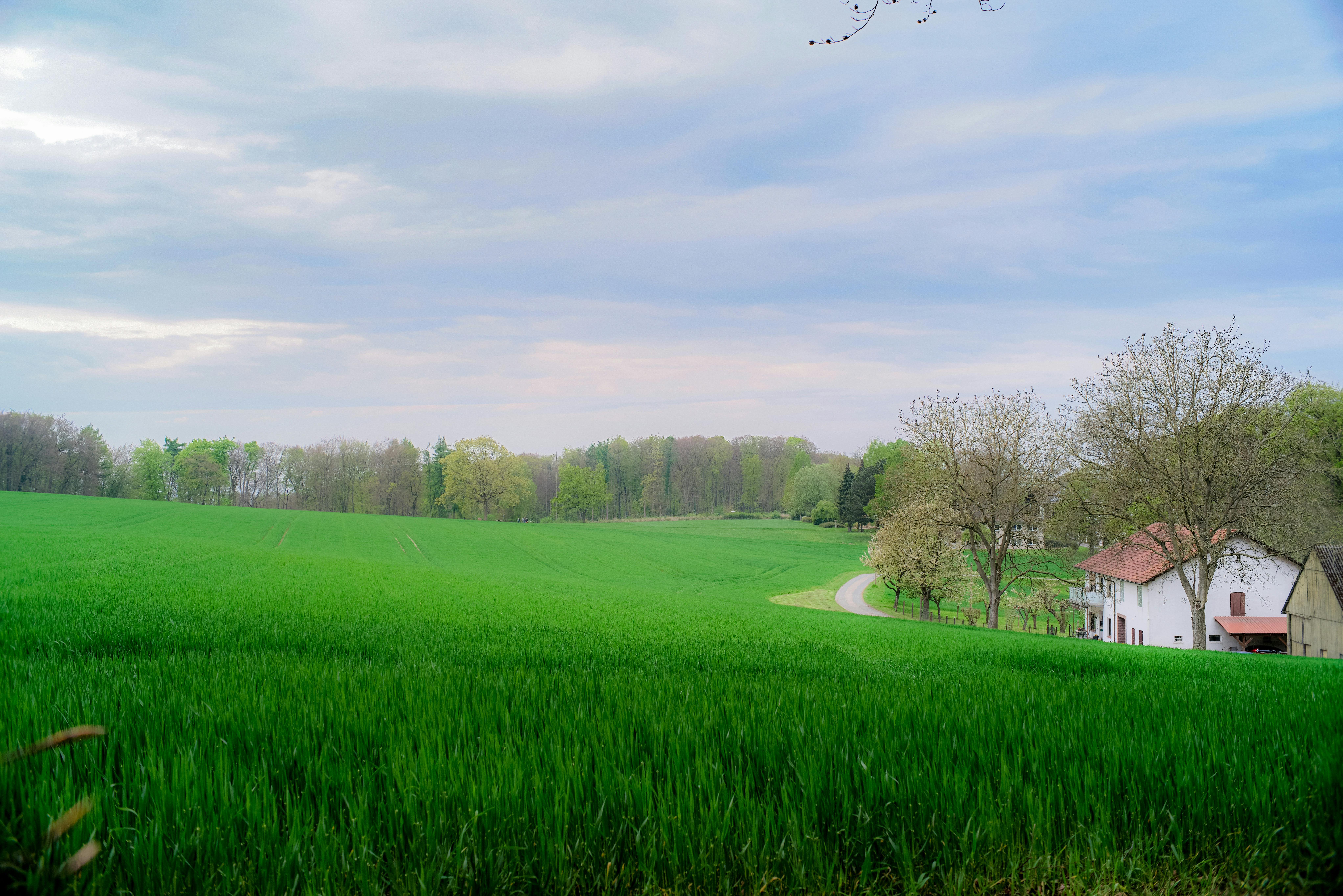 Serene Spring Countryside Landscape with Farmhouse · Free Stock Photo