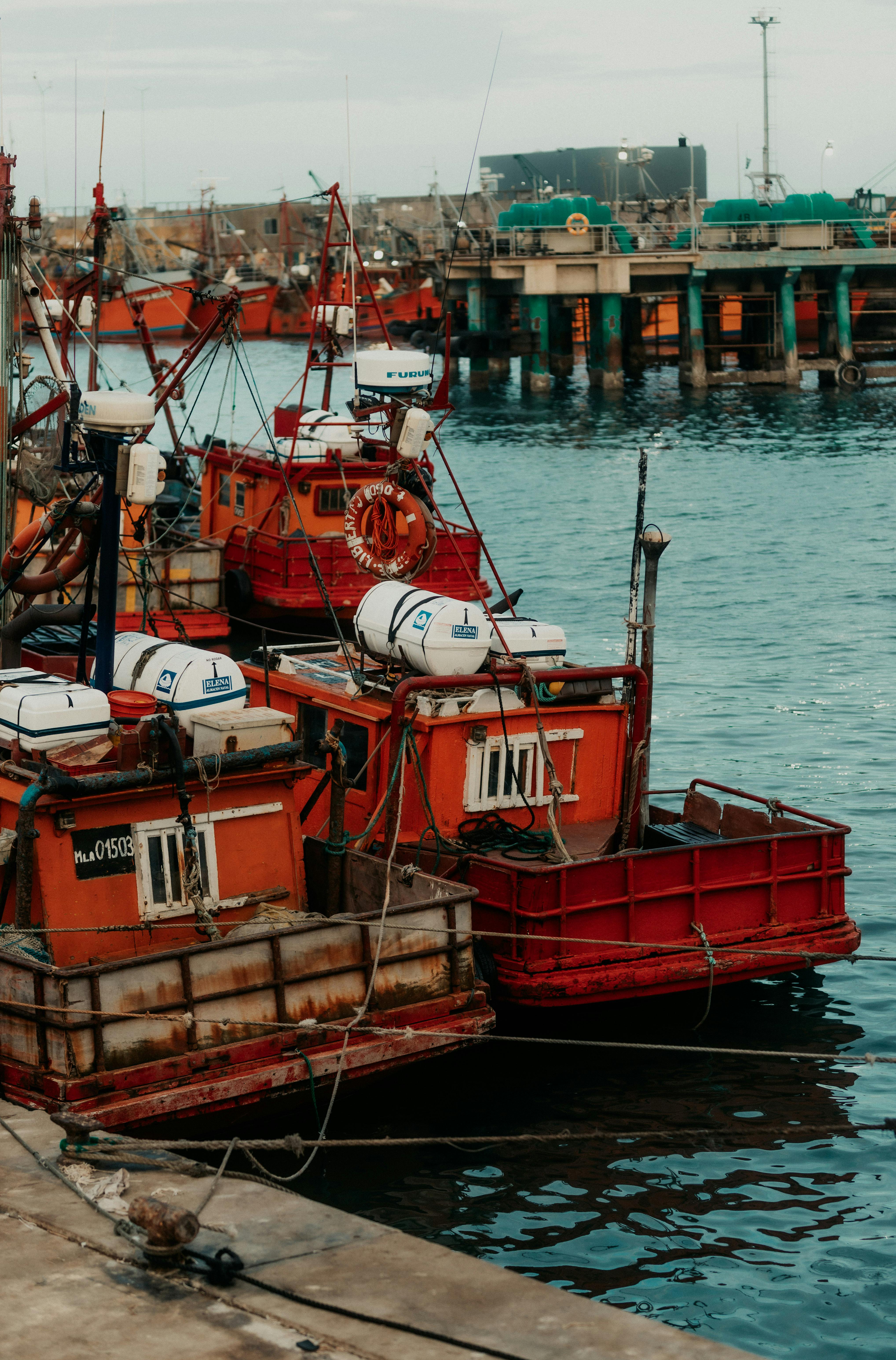 Red Fishing Boats Docked at a Busy Harbor · Free Stock Photo