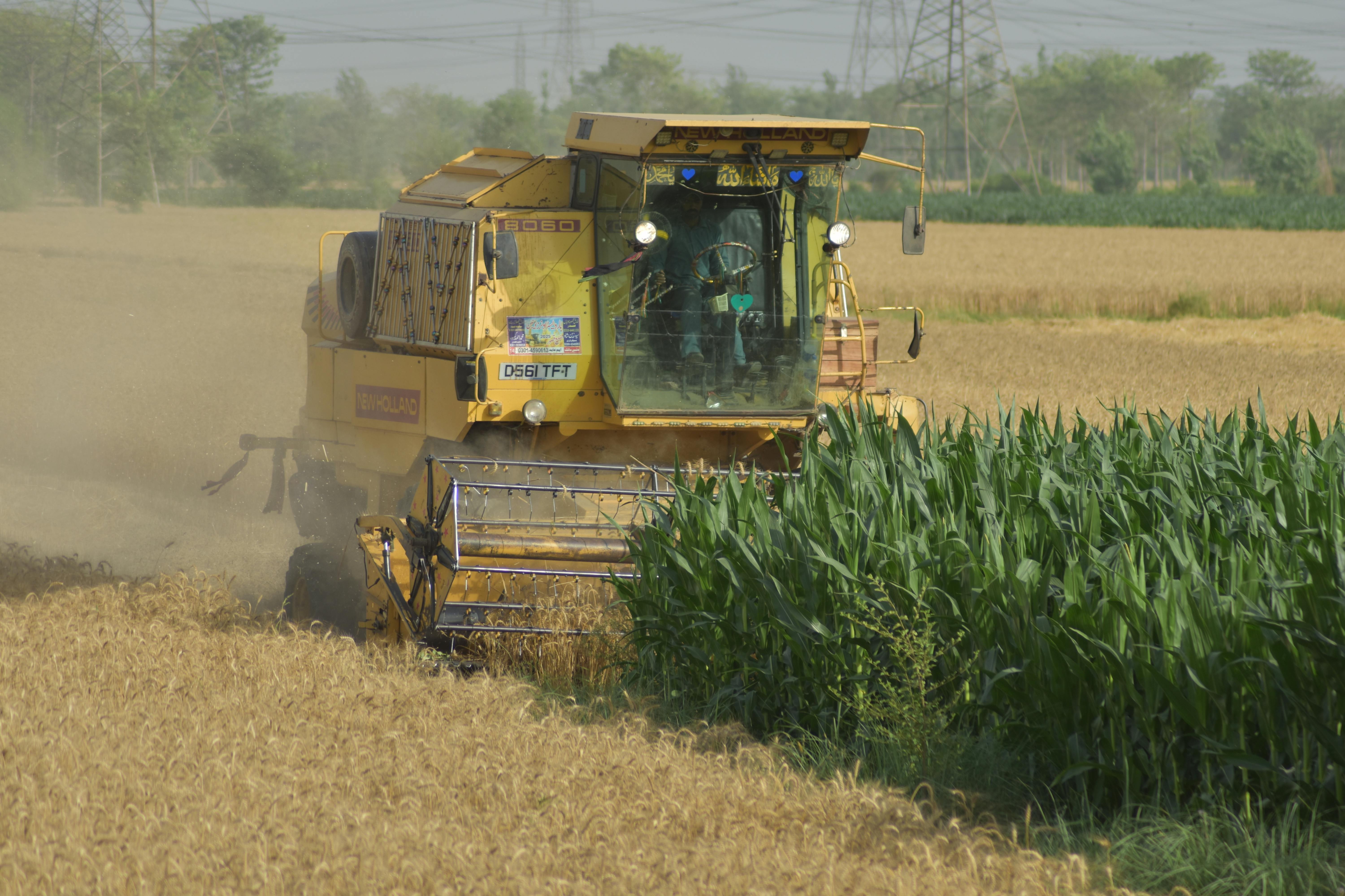 Harvesting Machine in Wheat and Corn Field · Free Stock Photo