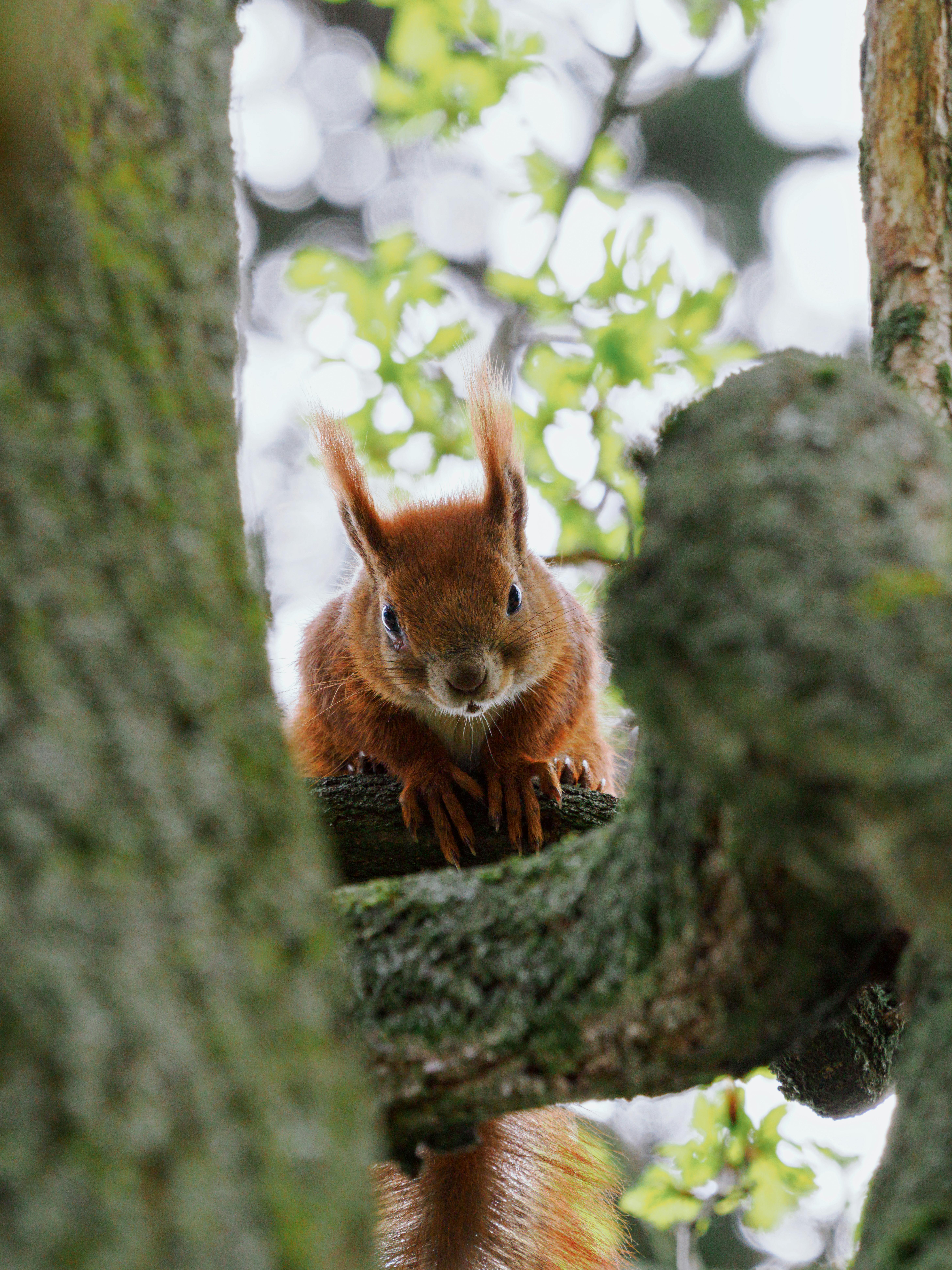 Cute+Imx+Girls Photos, Download The BEST Free Cute+Imx+Girls Stock ...