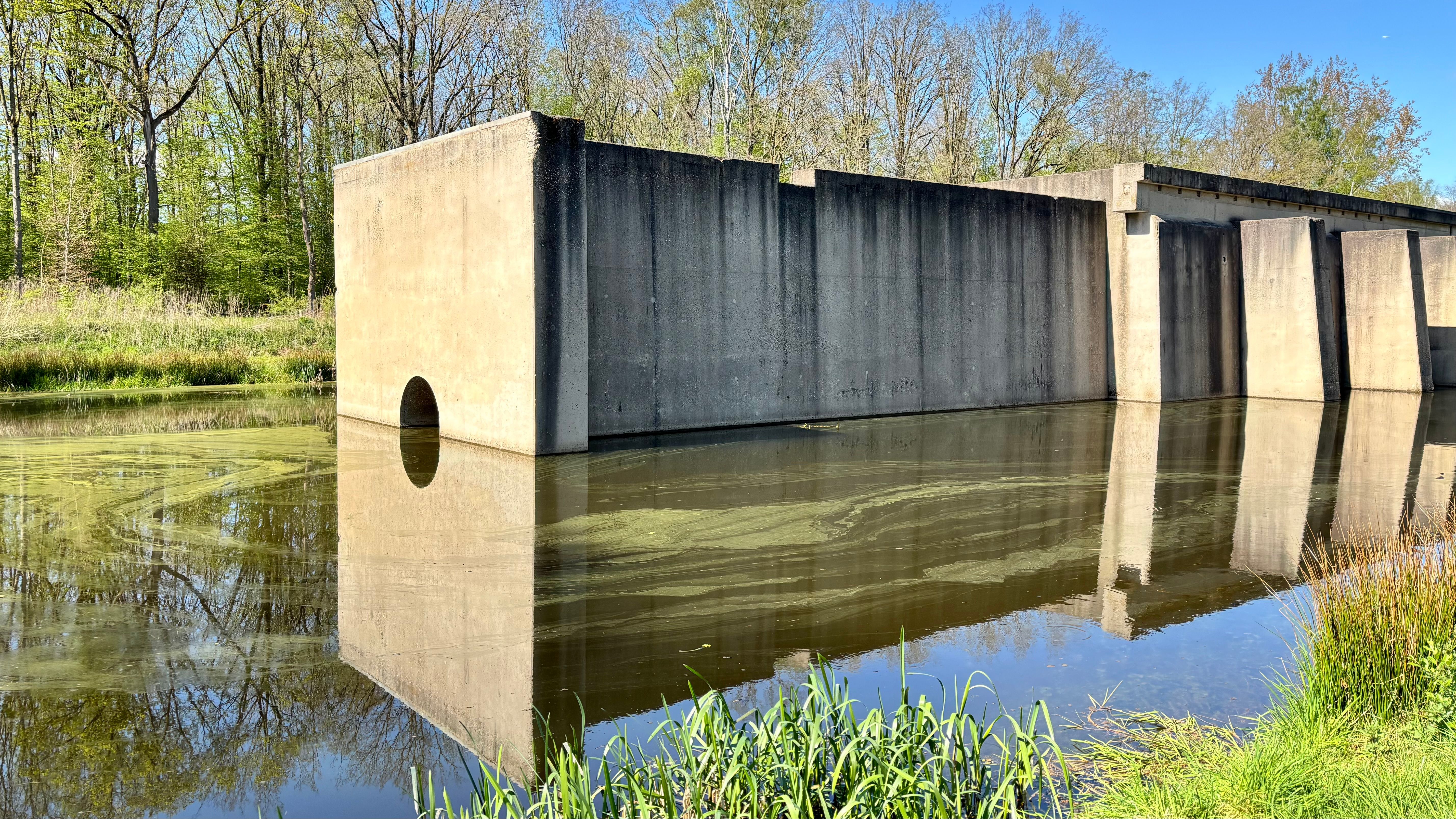 Concrete Bridge Reflecting in Tranquil Pond · Free Stock Photo