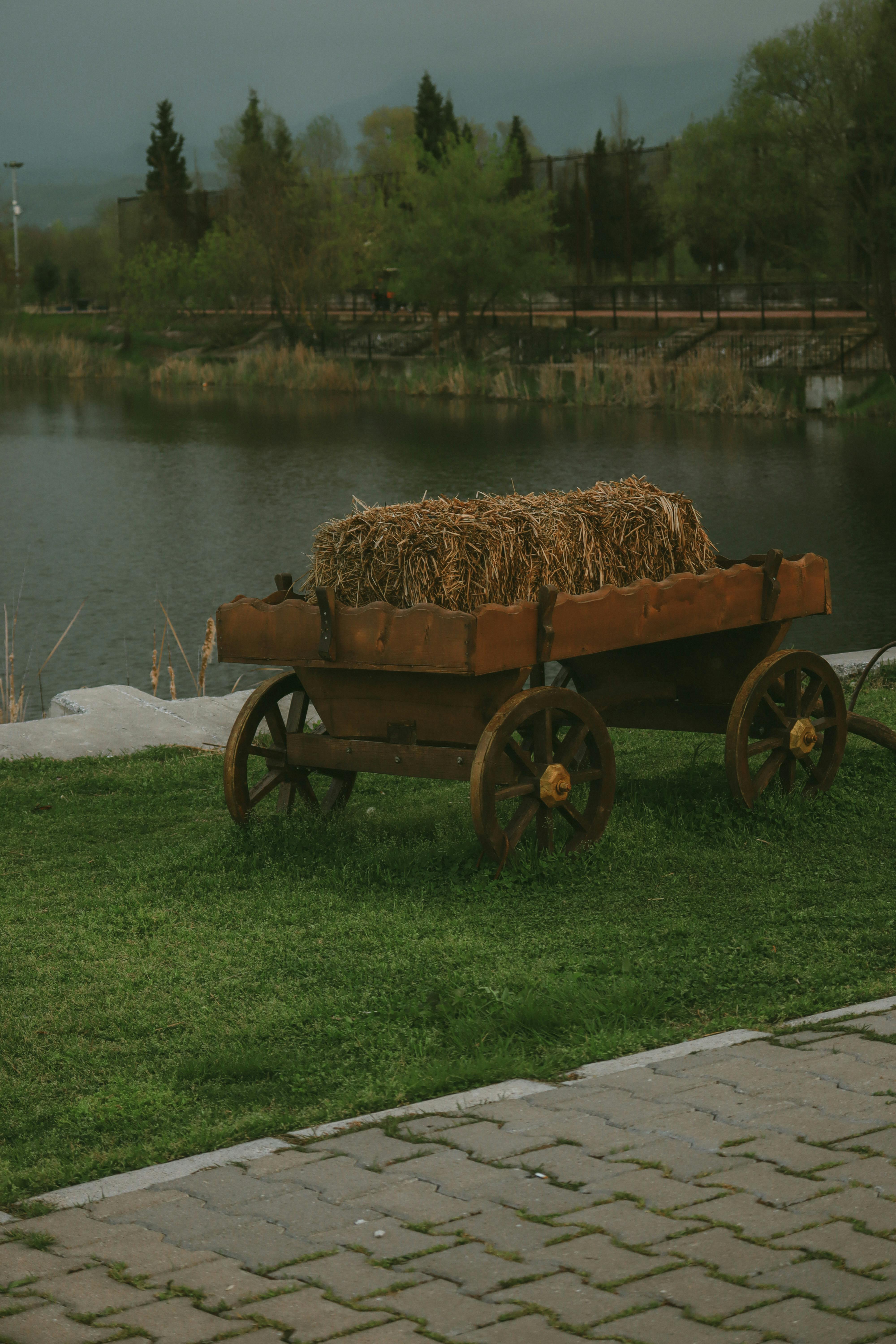 Hay Wheels Photos, Download The BEST Free Hay Wheels Stock Photos & HD ...
