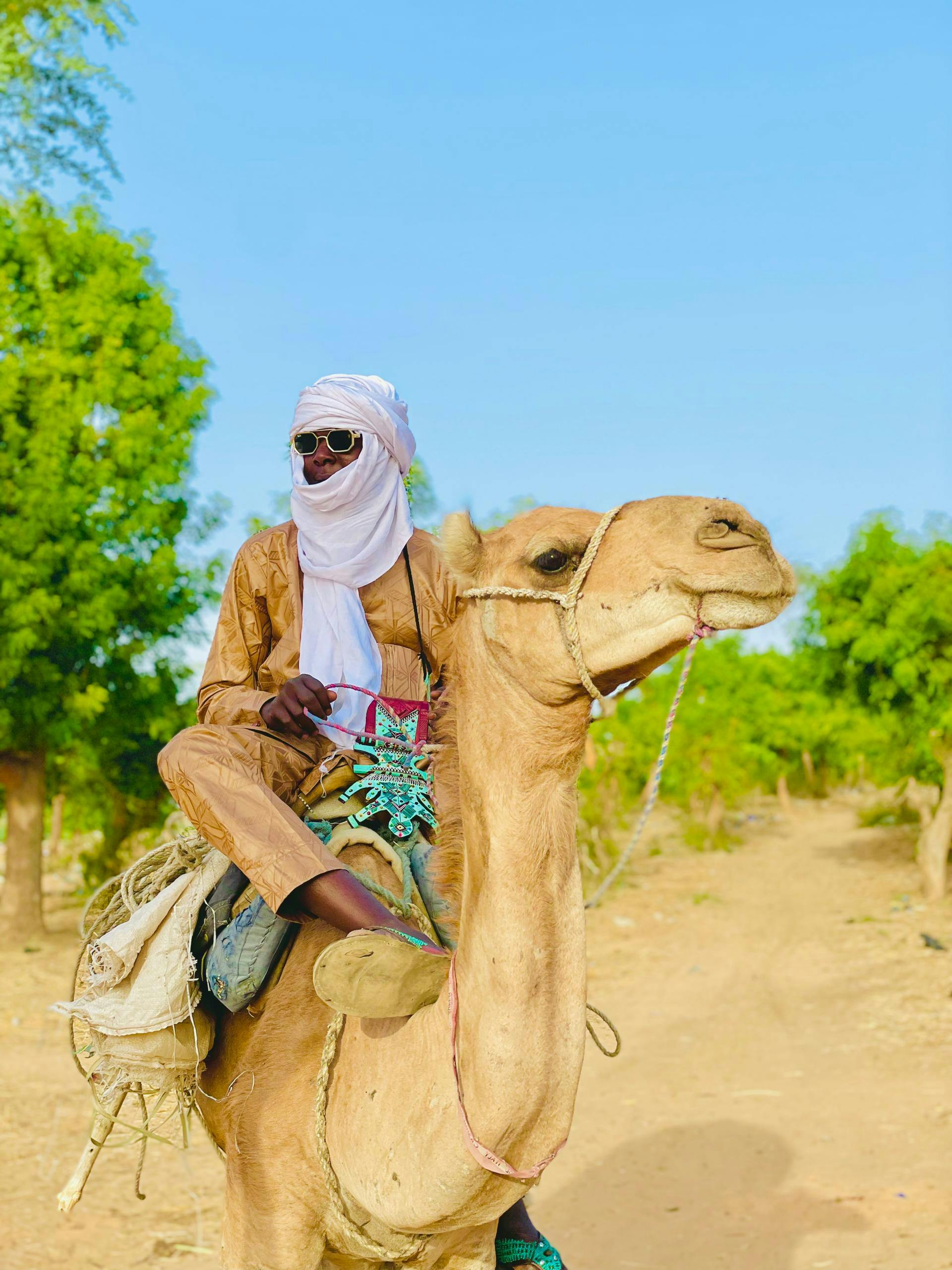 Human Riding Camel Photos, Download The BEST Free Human Riding Camel ...