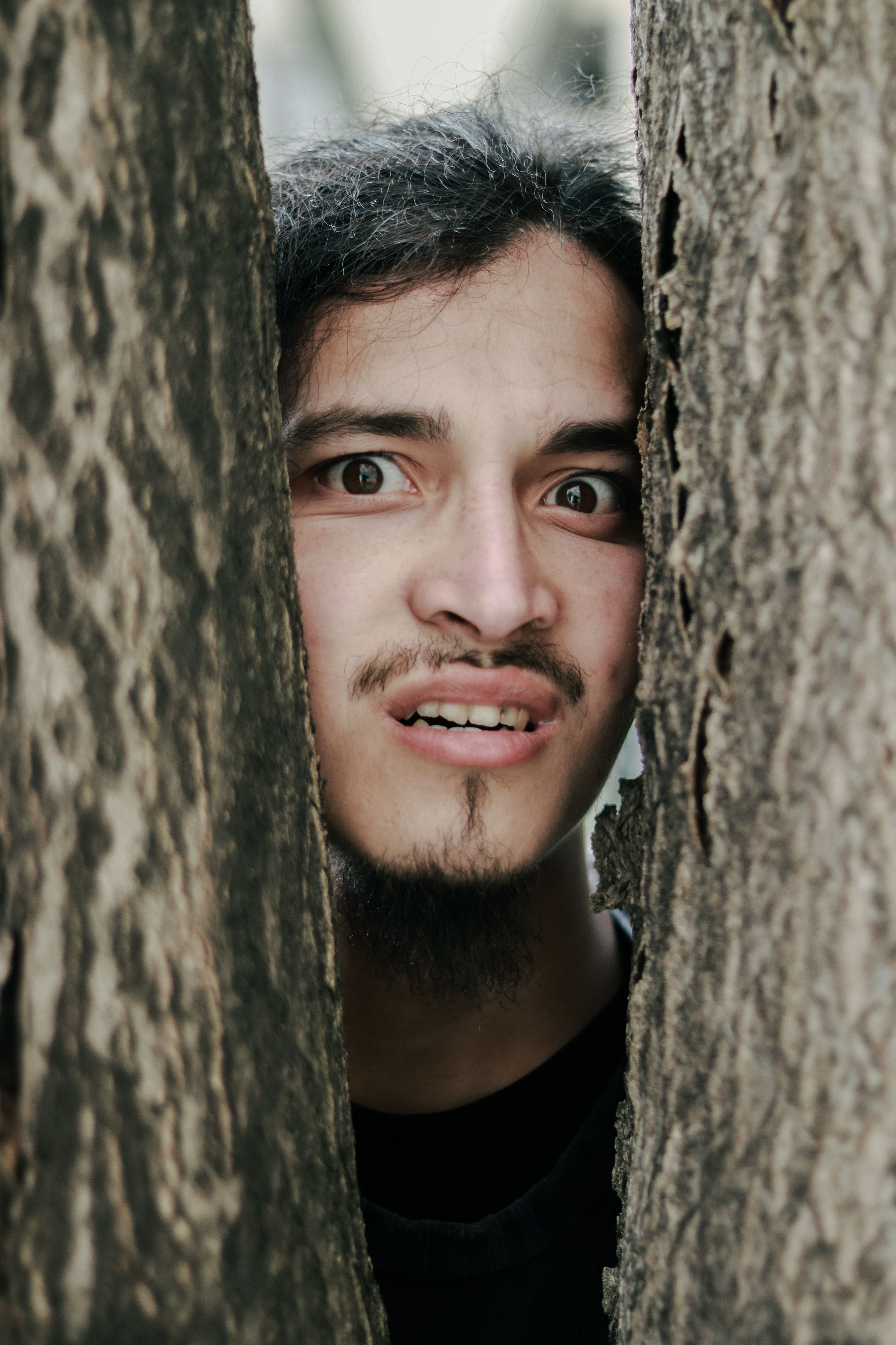 Young Man Peering Through Tree Trunks in Forest · Free Stock Photo