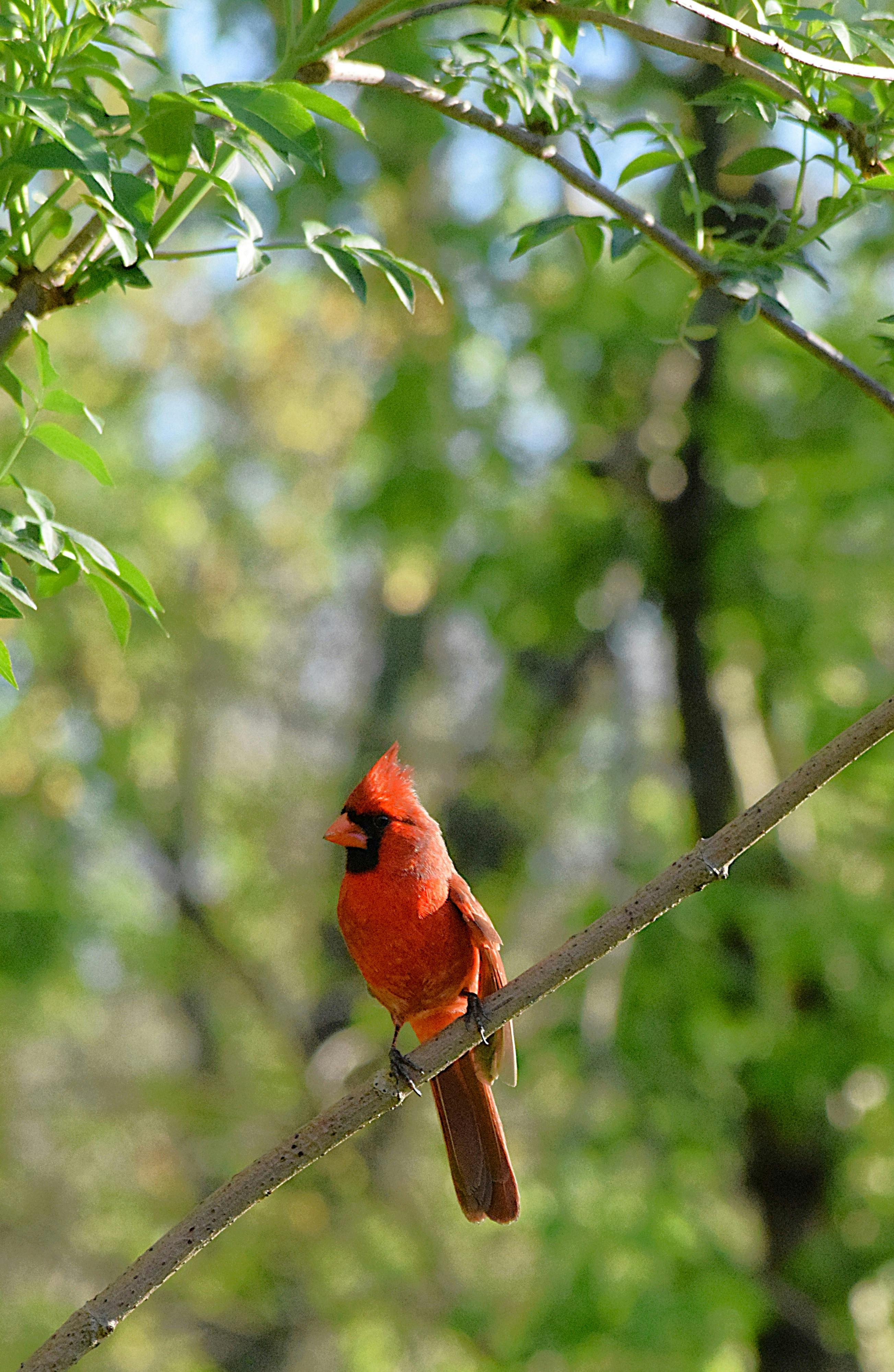 David Rear - Photography