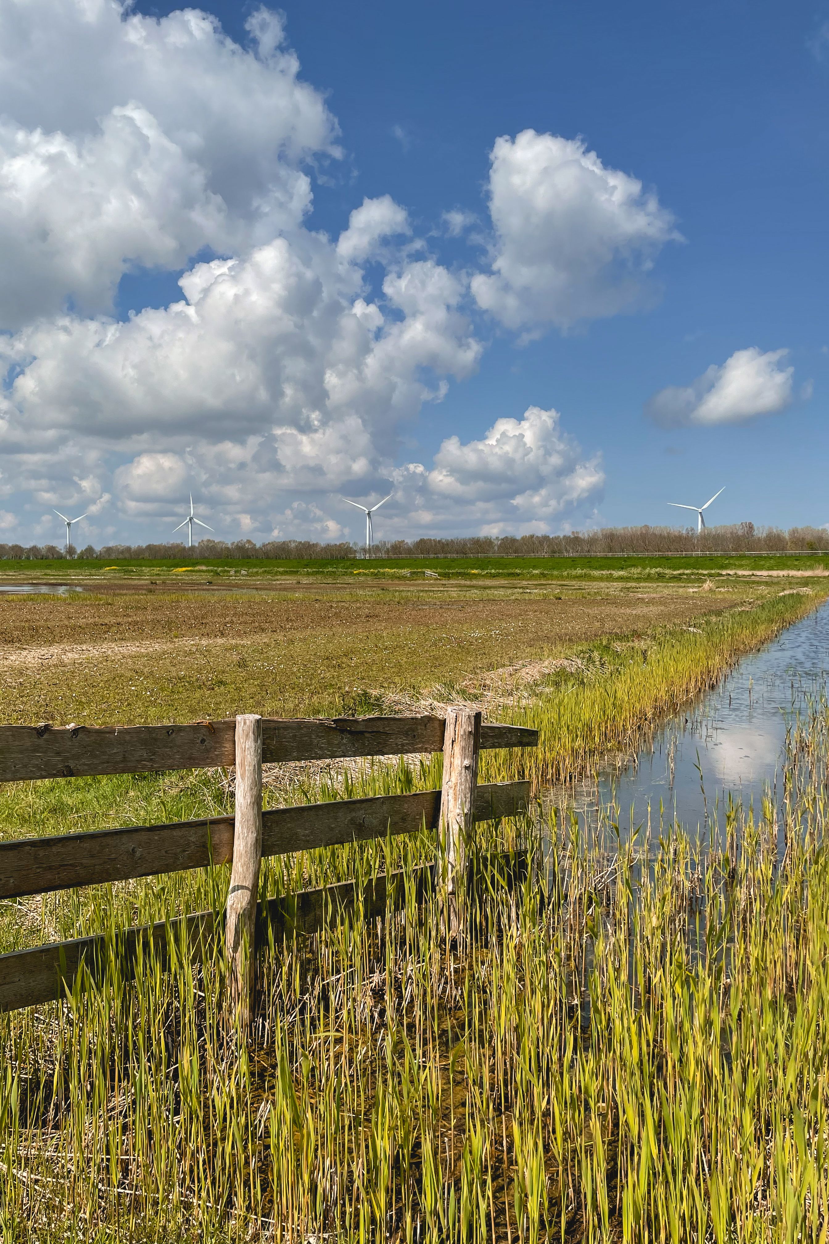 Scenic Dutch Countryside with Wind Turbines · Free Stock Photo