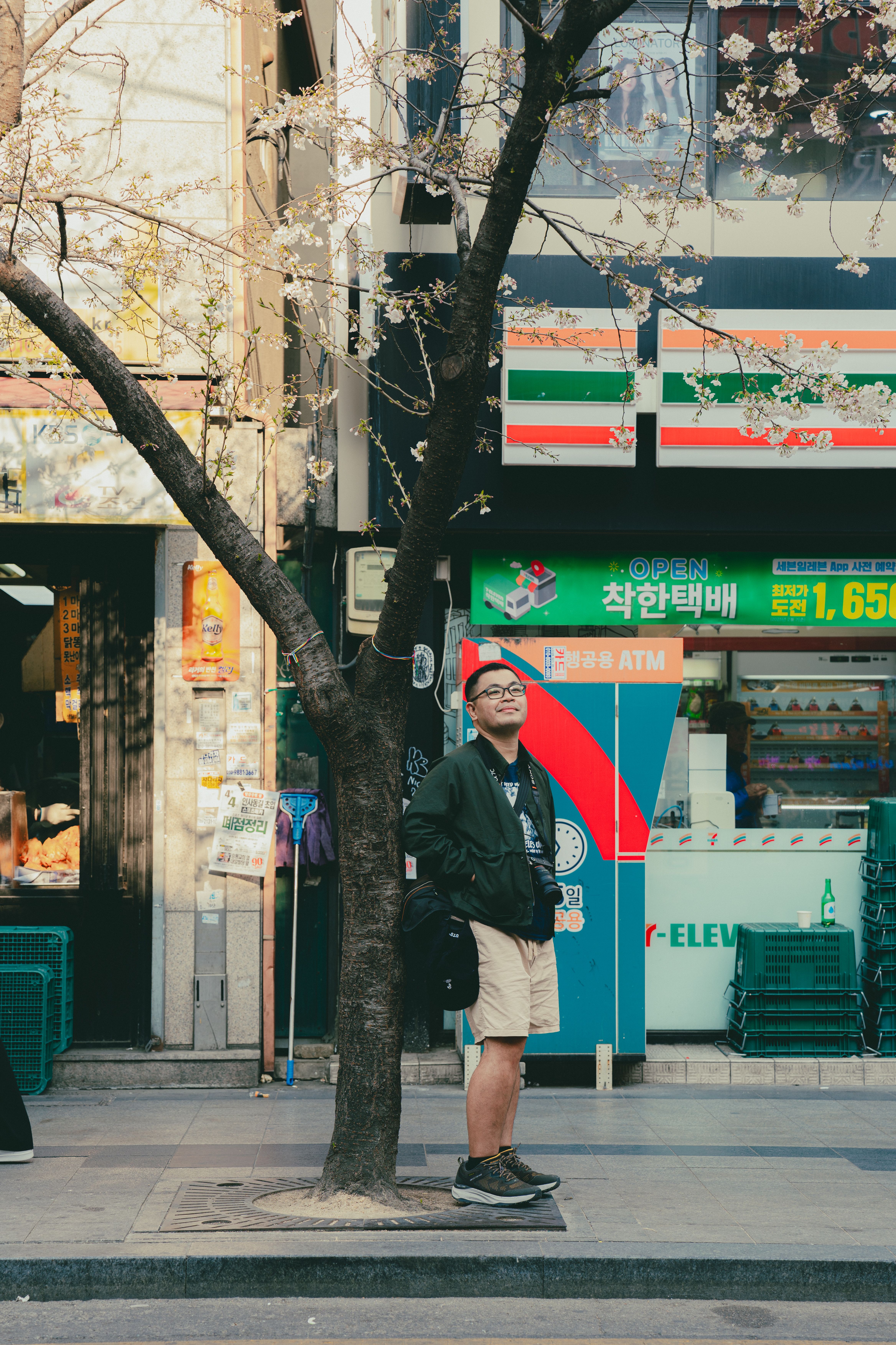 Casual Street Scene in Seoul with Cherry Blossom · Free Stock Photo