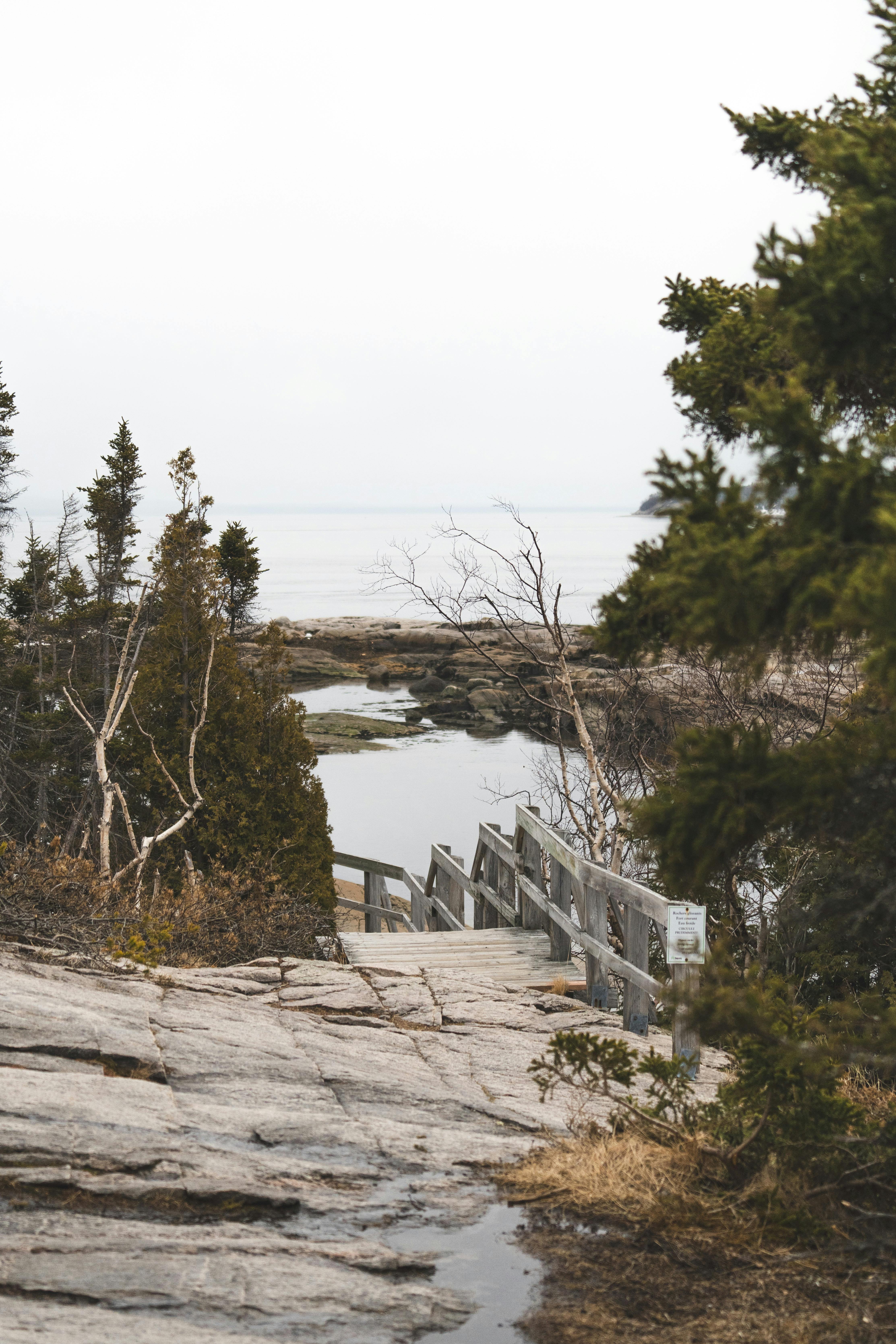 Ocean Shoreline View Photos, Download The BEST Free Ocean Shoreline ...