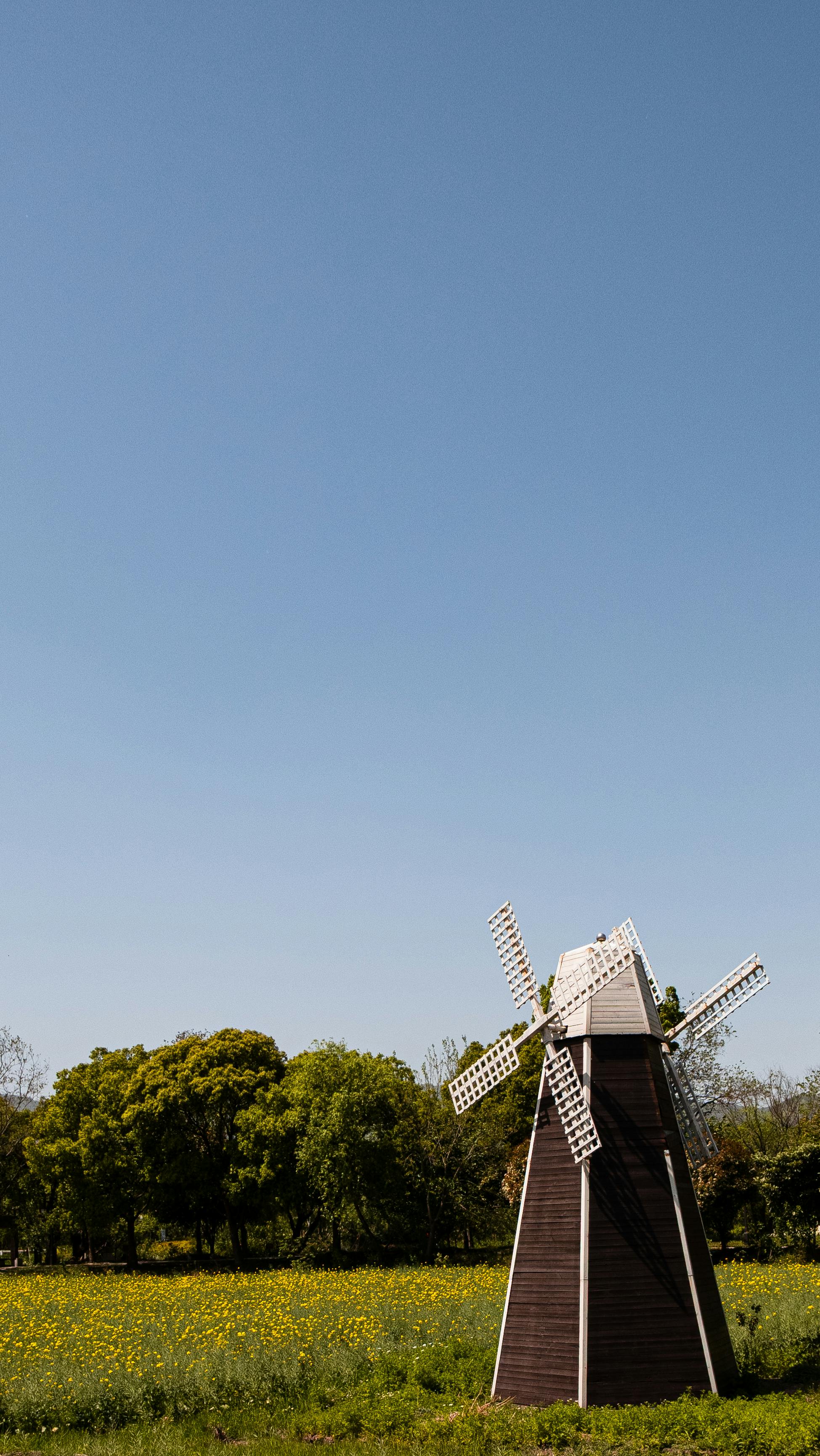 Scenic Windmill in Spring Field Under Clear Sky · Free Stock Photo