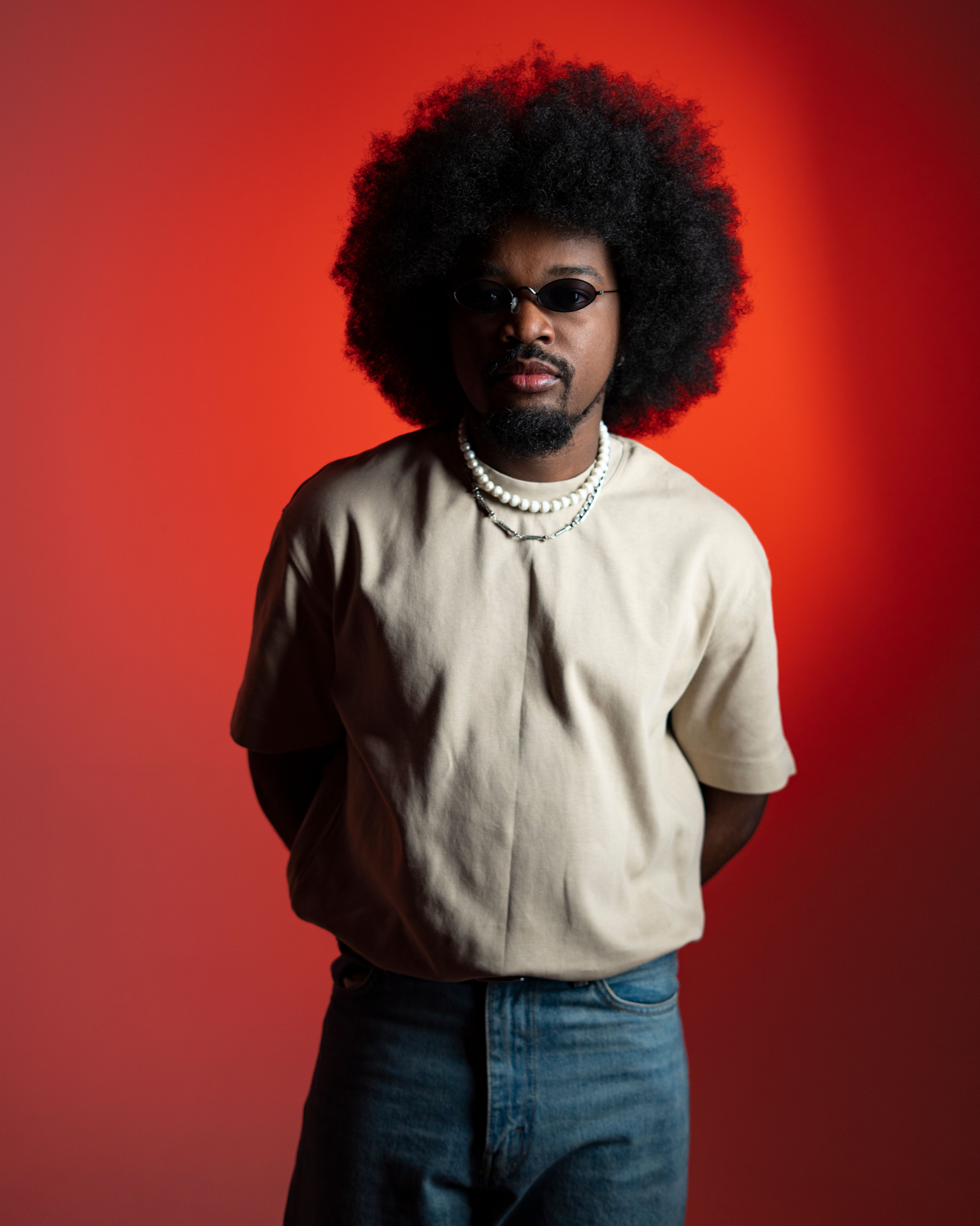 Portrait élégant D'un Homme Avec Une Coiffure Afro · Photo gratuite