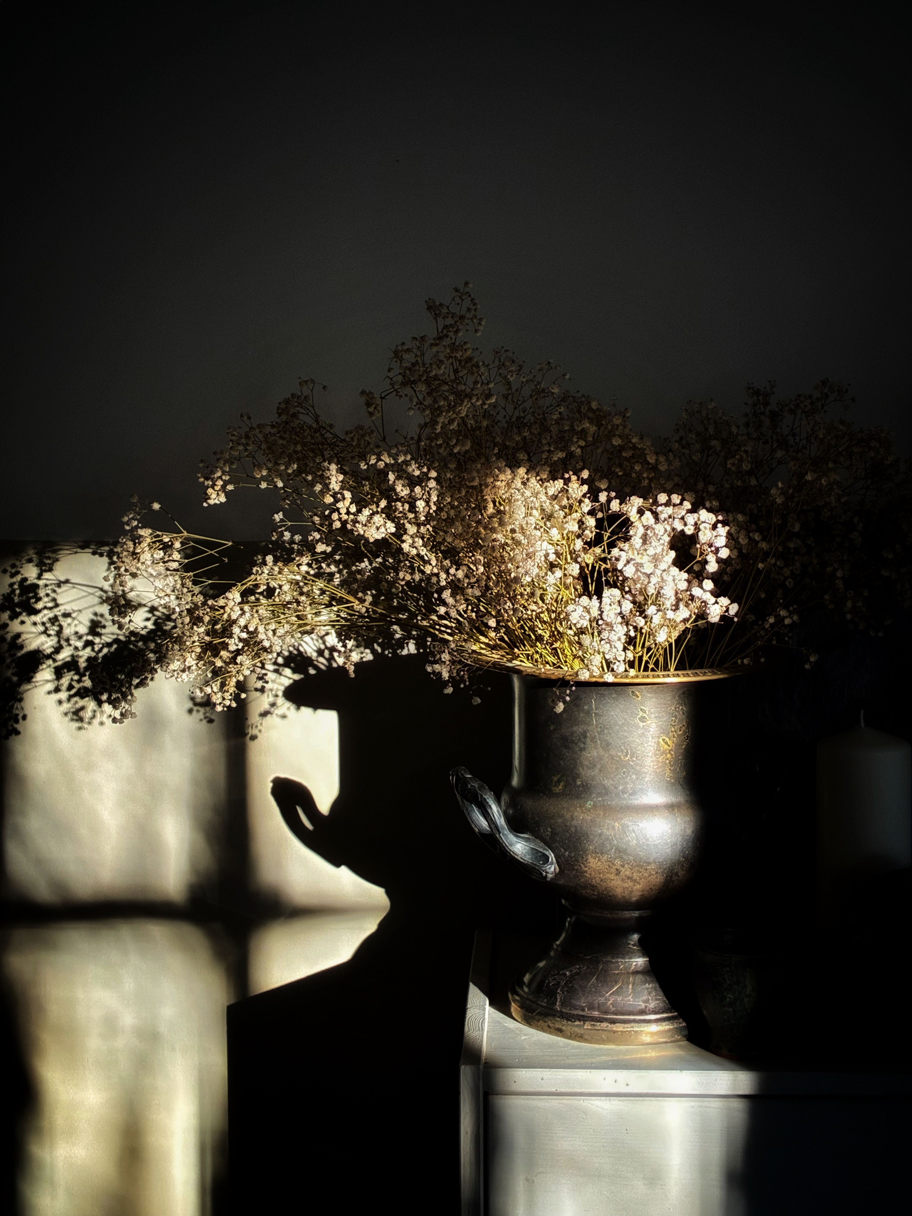 Elegant Still Life with Gypsophila in Brass Vase · Free Stock Photo