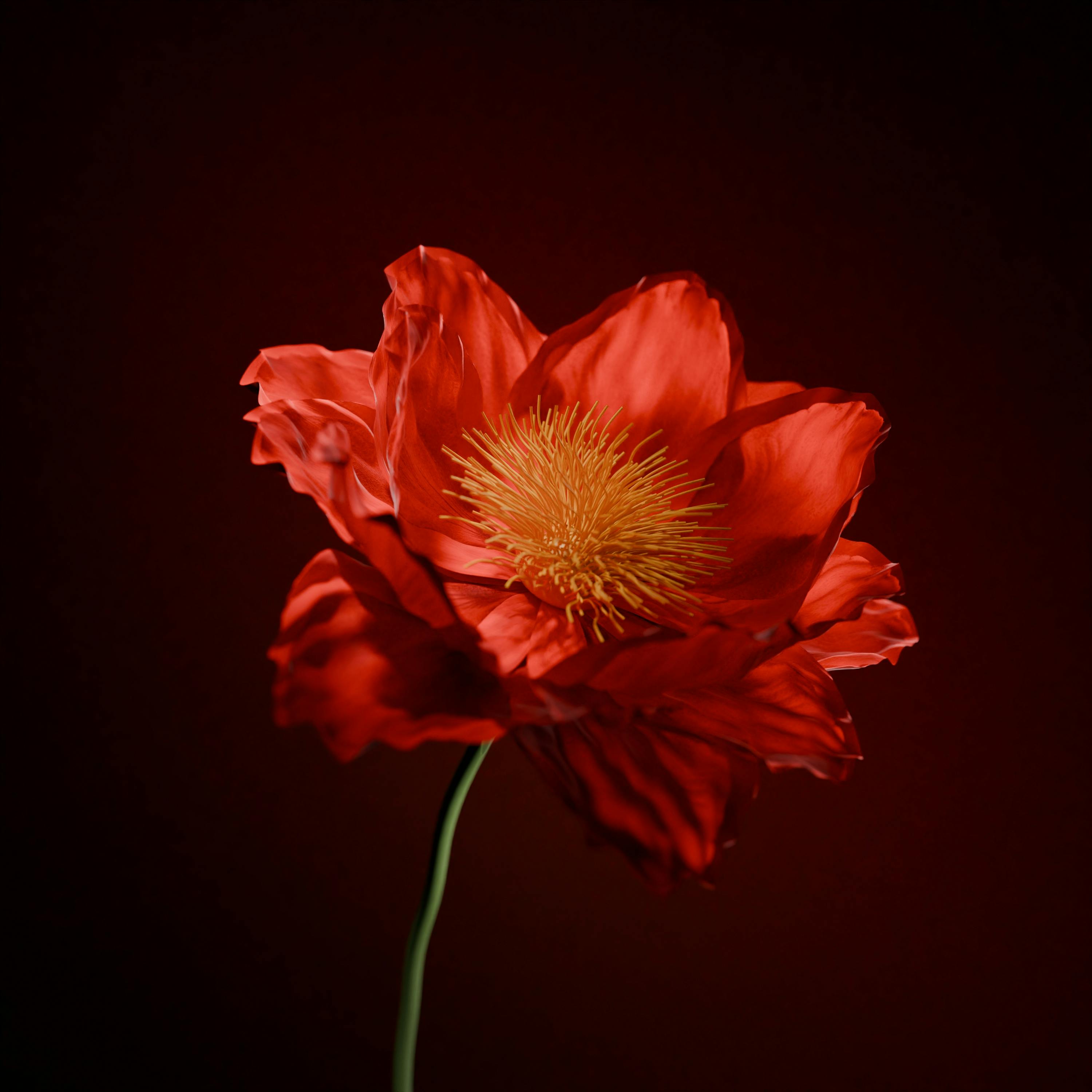 Brigada+Eskwela+2025+Background+Design Photos, Download The BEST Free ...