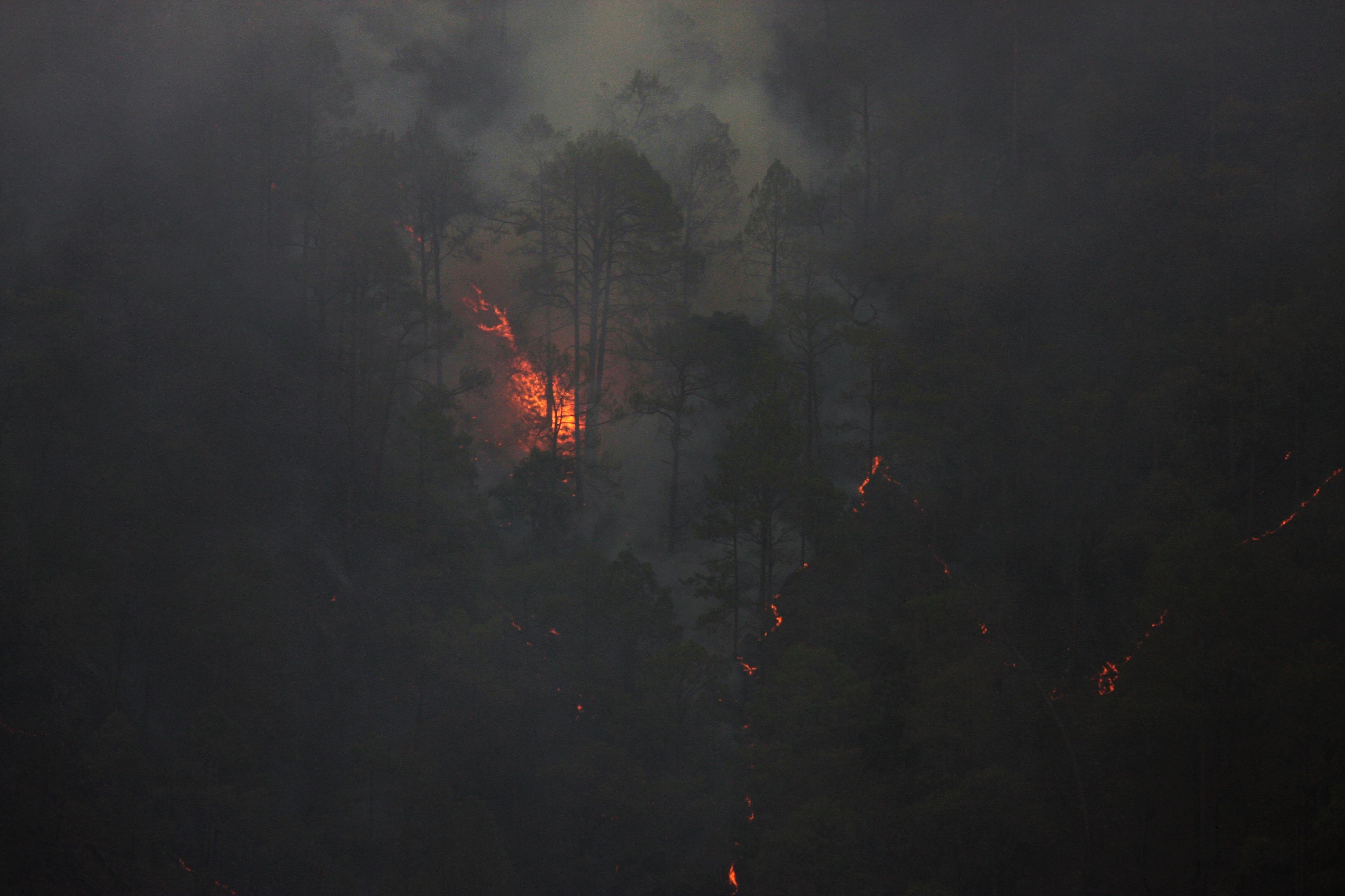 Parallax Background Photos, Download The BEST Free Parallax Background ...