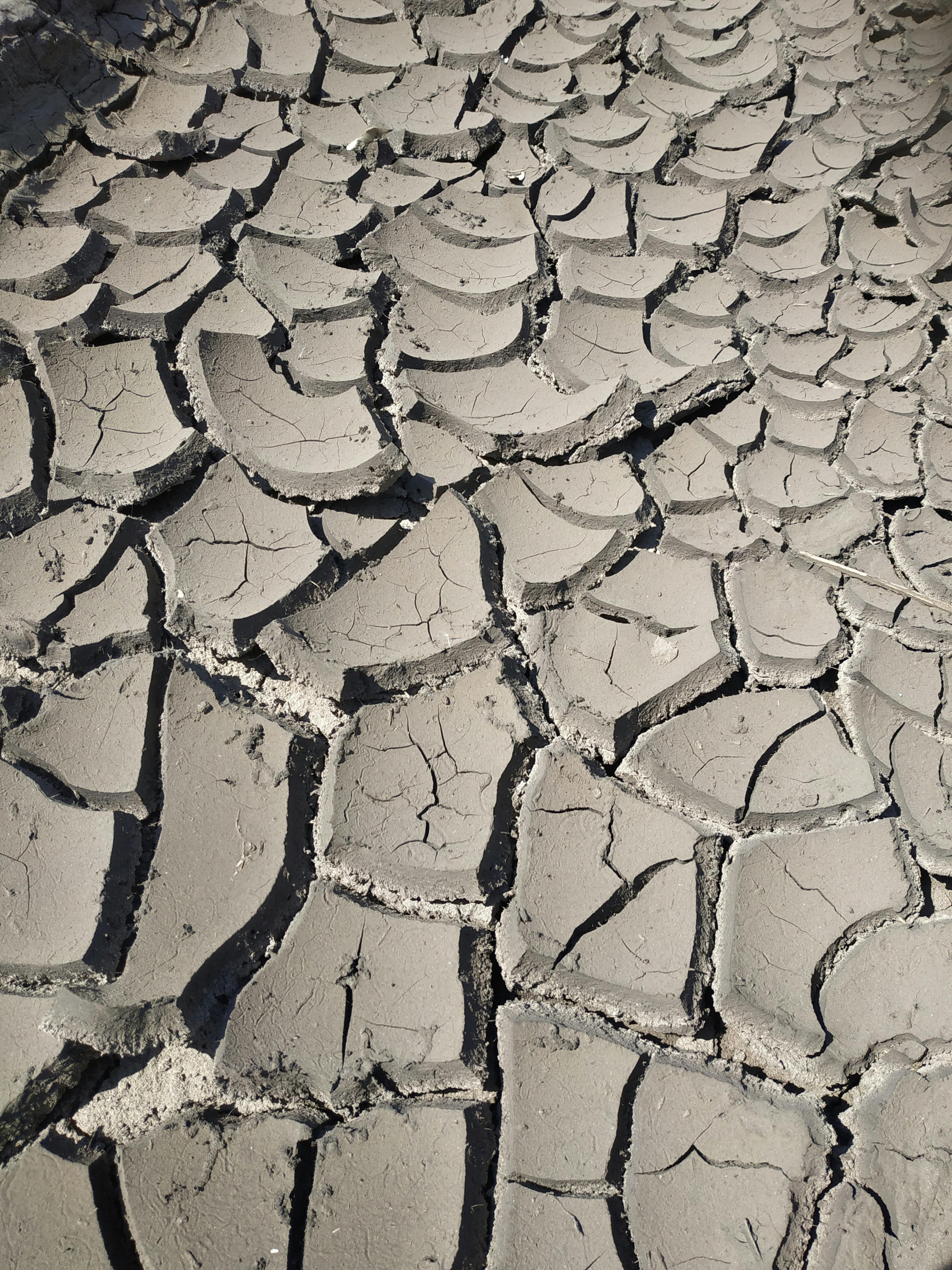 Cracked Earth Surface with Dry Mud Textures · Free Stock Photo