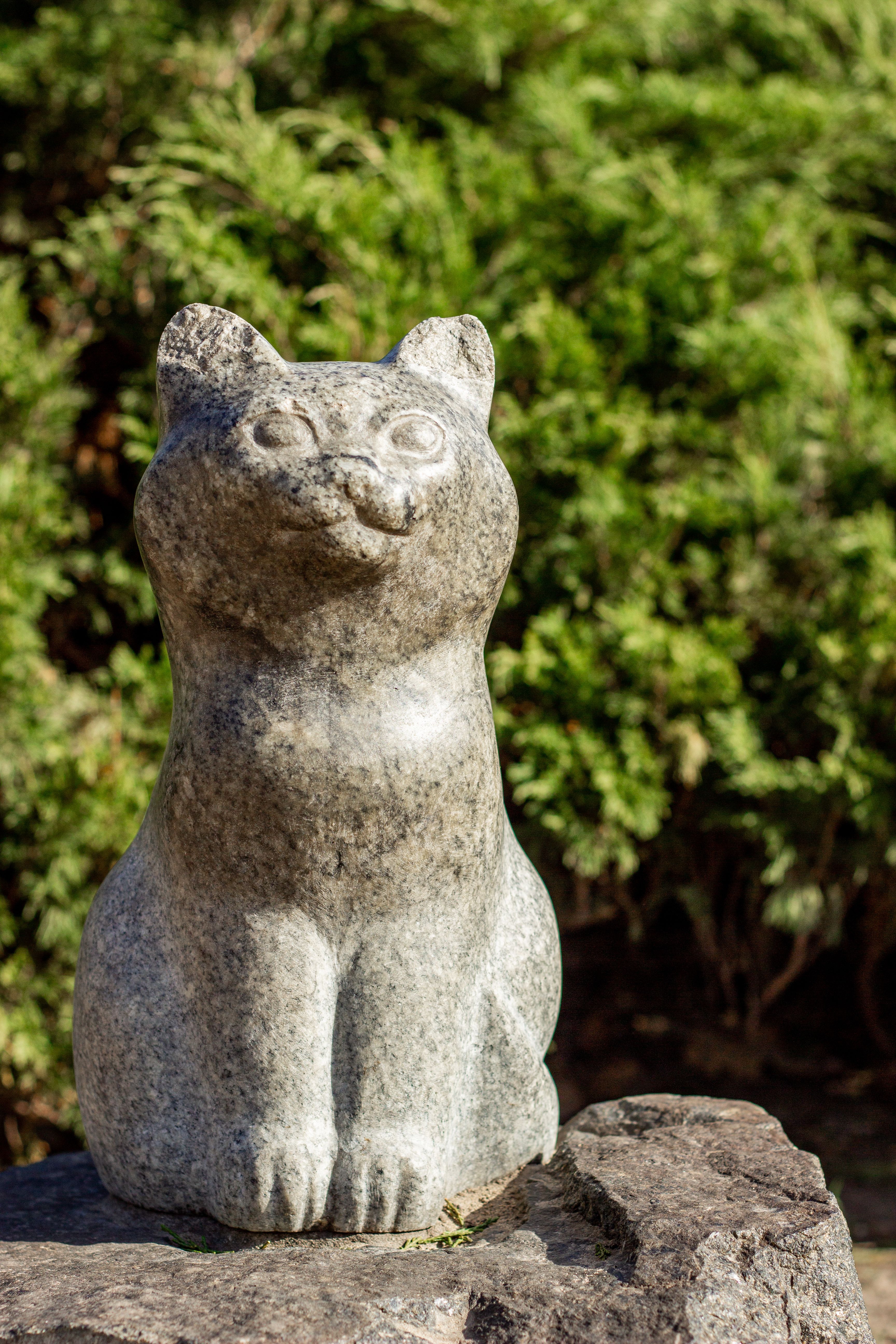 Stone Cat Sculpture in Sunlit Garden · Free Stock Photo
