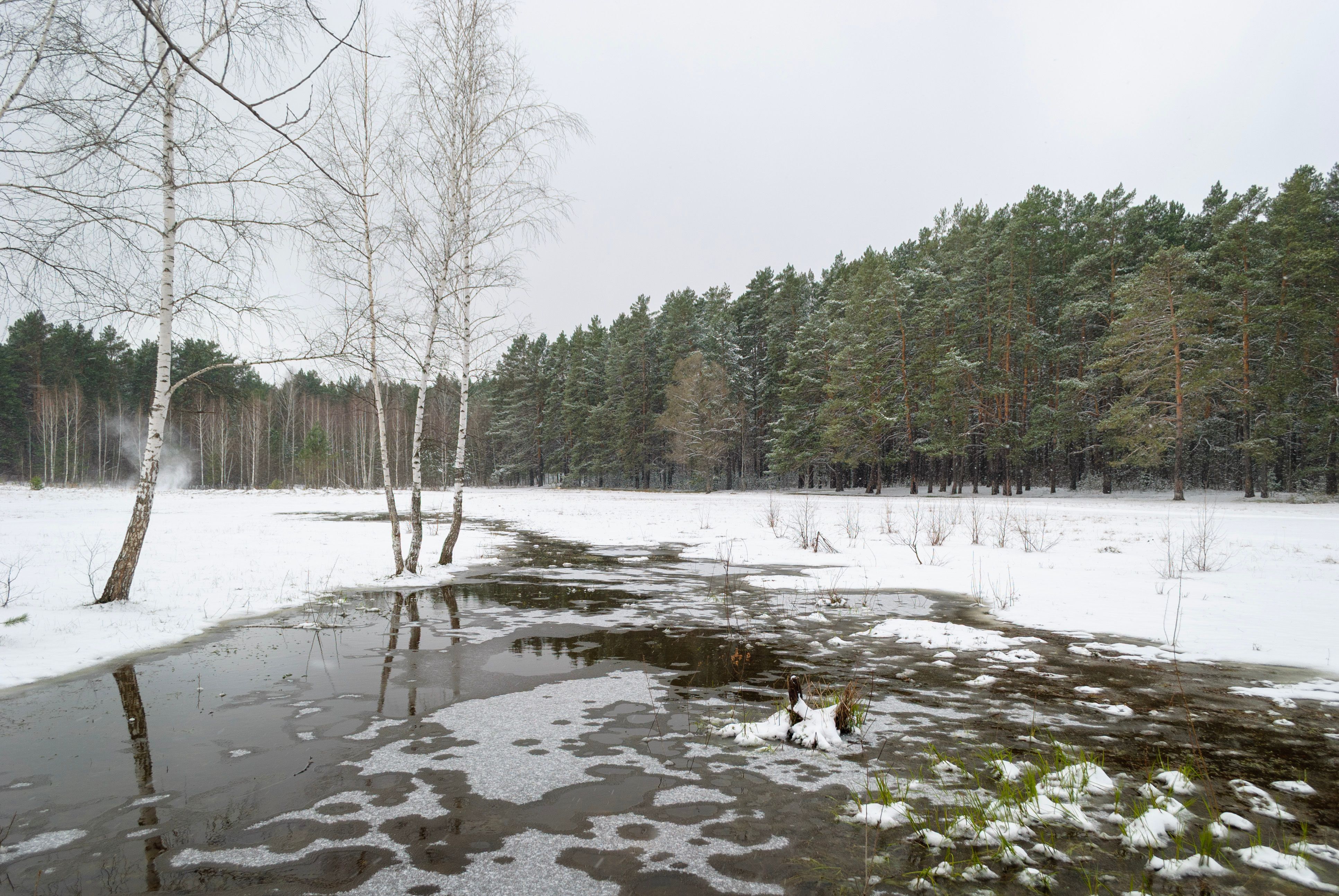 Beautiful Nature Simple Wallpaper Photos, Download The BEST Free ...