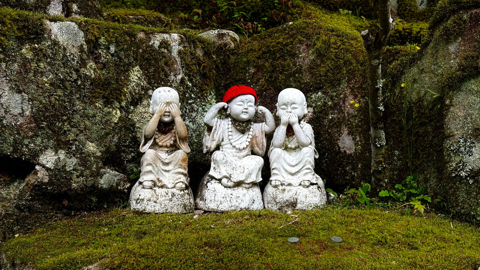 Zen Garden Photos, Download The BEST Free Zen Garden Stock Photos & HD ...