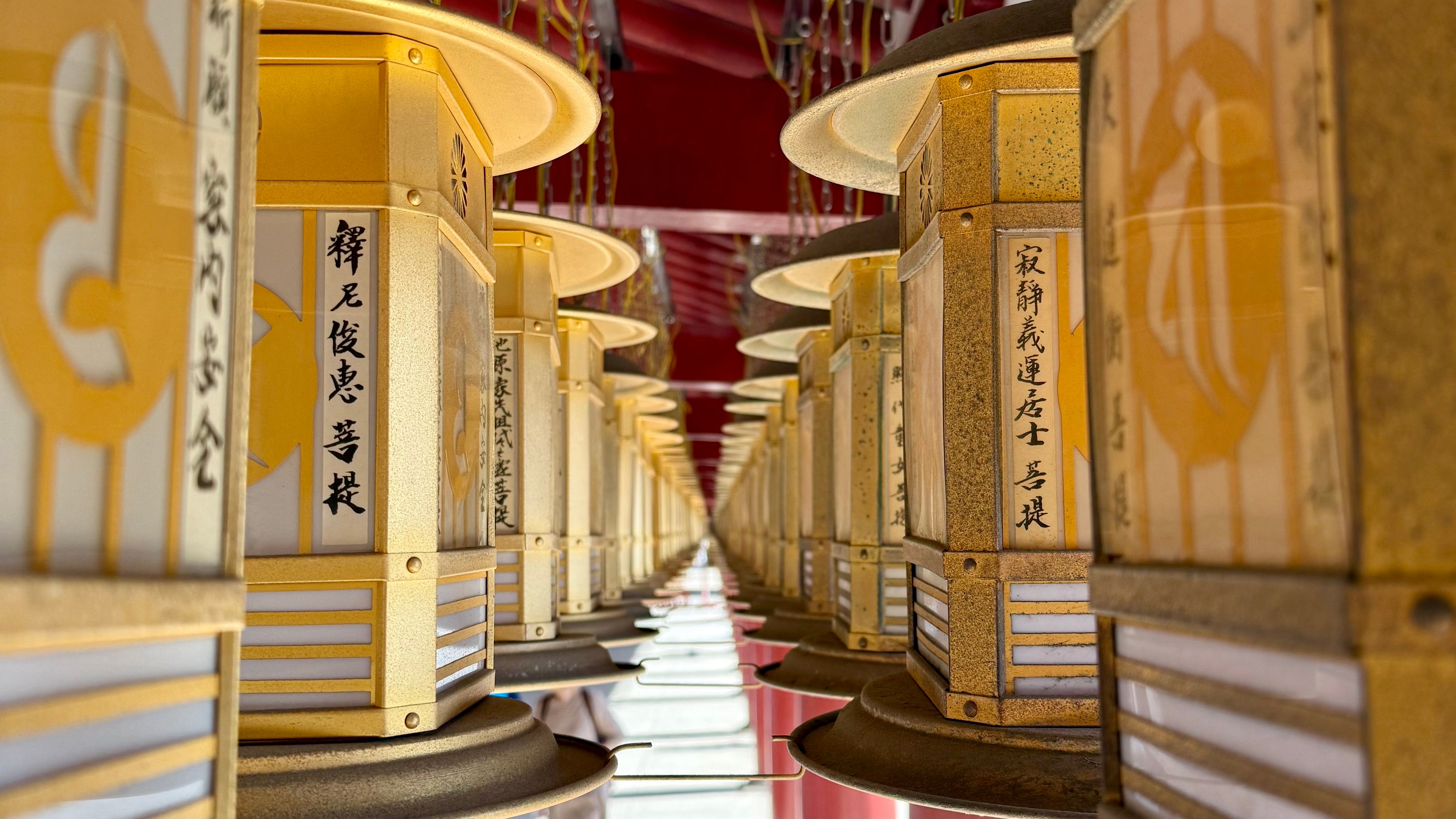 Traditional Japanese Lanterns in Temple Corridor · Free Stock Photo