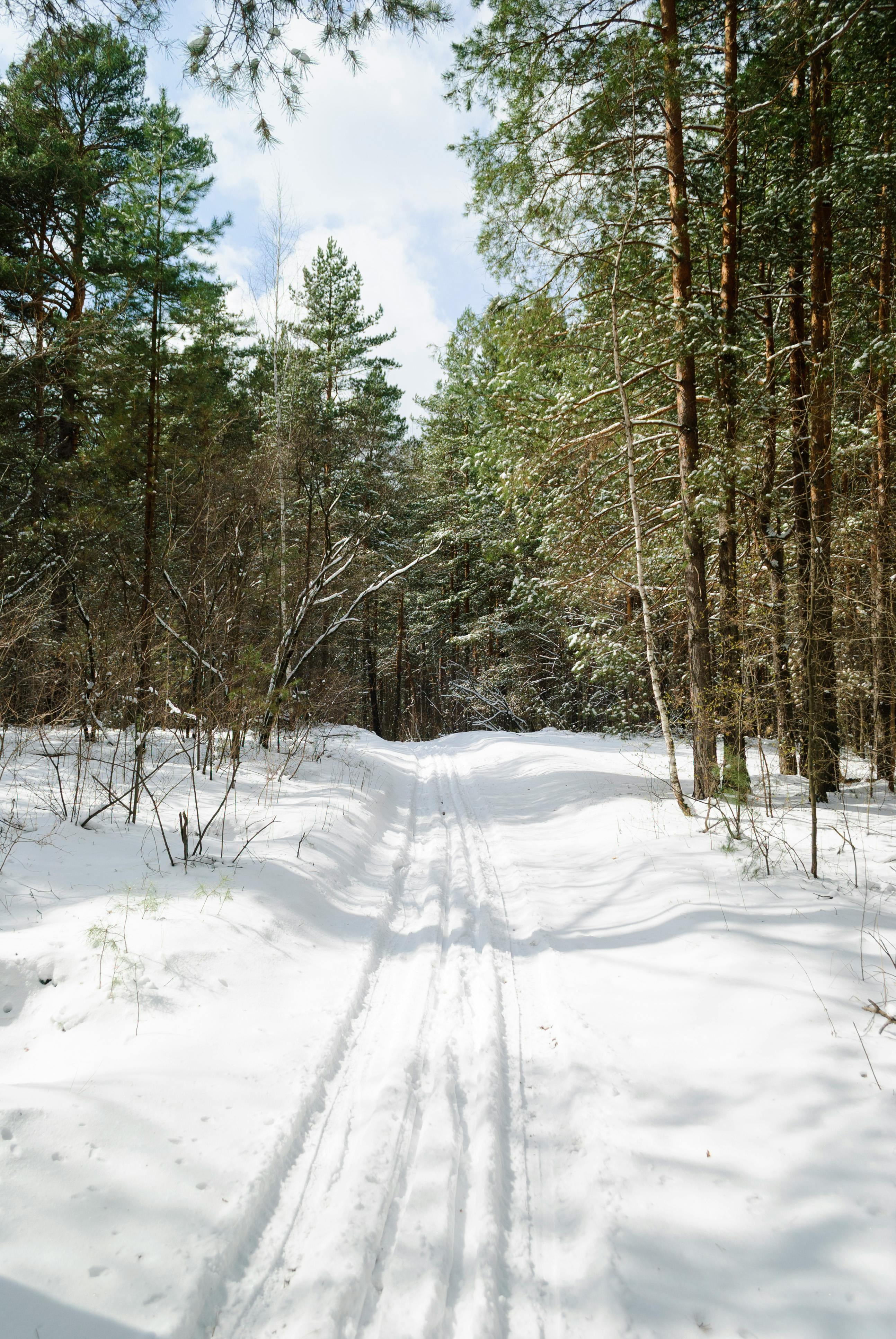 20k Wallpaper Photos, Download The BEST Free 20k Wallpaper Stock Photos ...