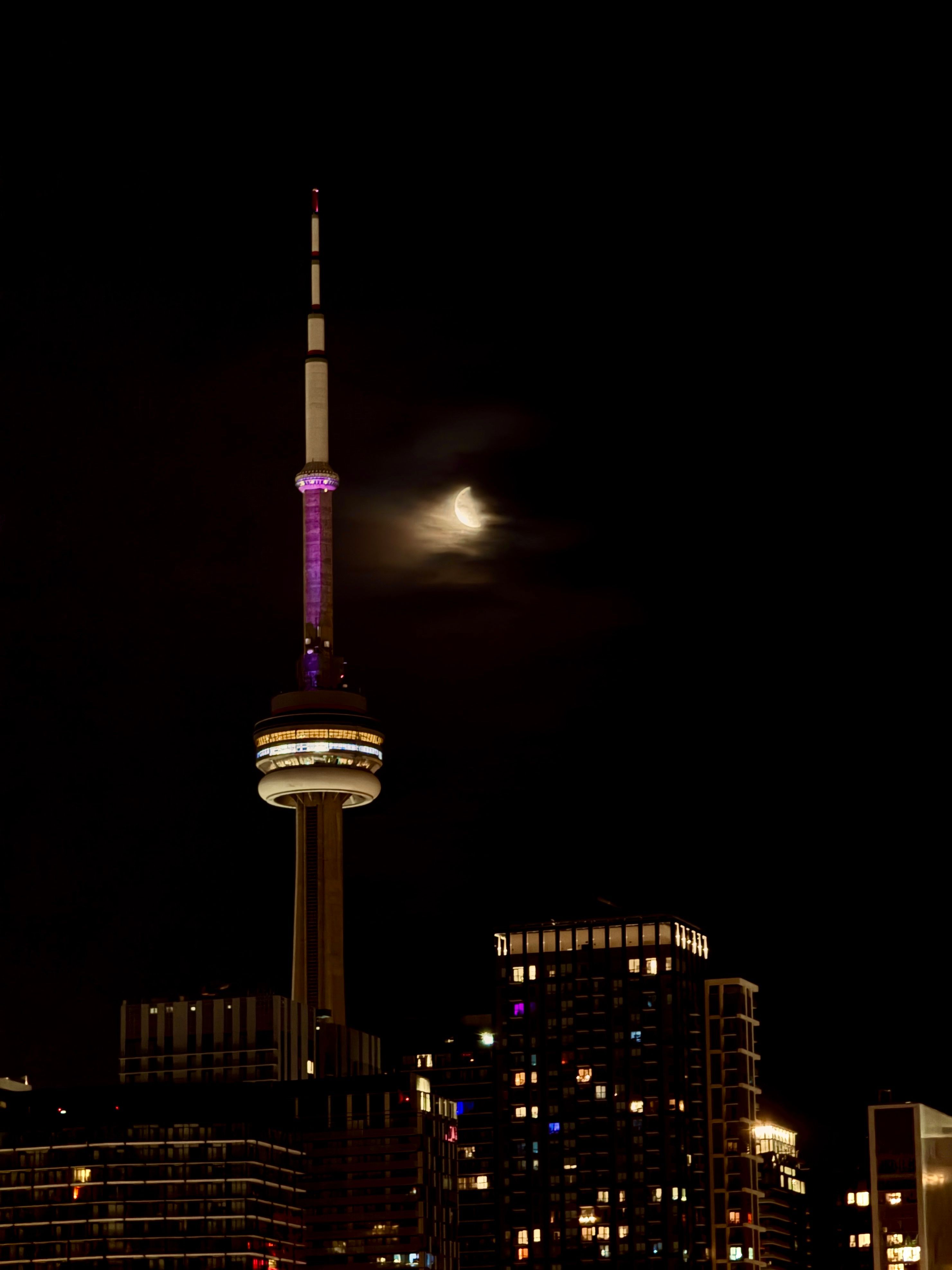 Toronto CN Tower Moonlit Night Skyline · Free Stock Photo