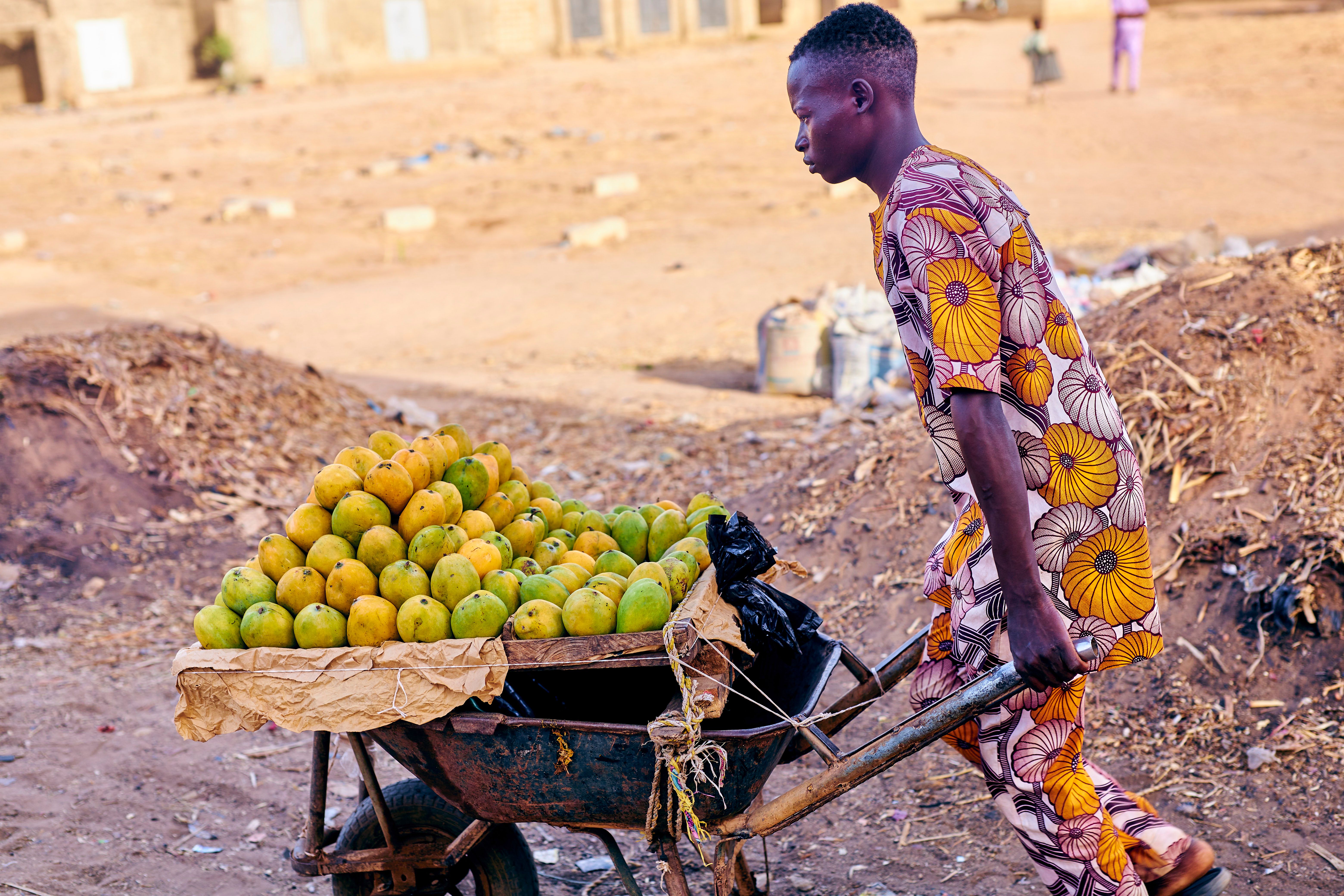 African Market Portrait in Maiduguri · Free Stock Photo