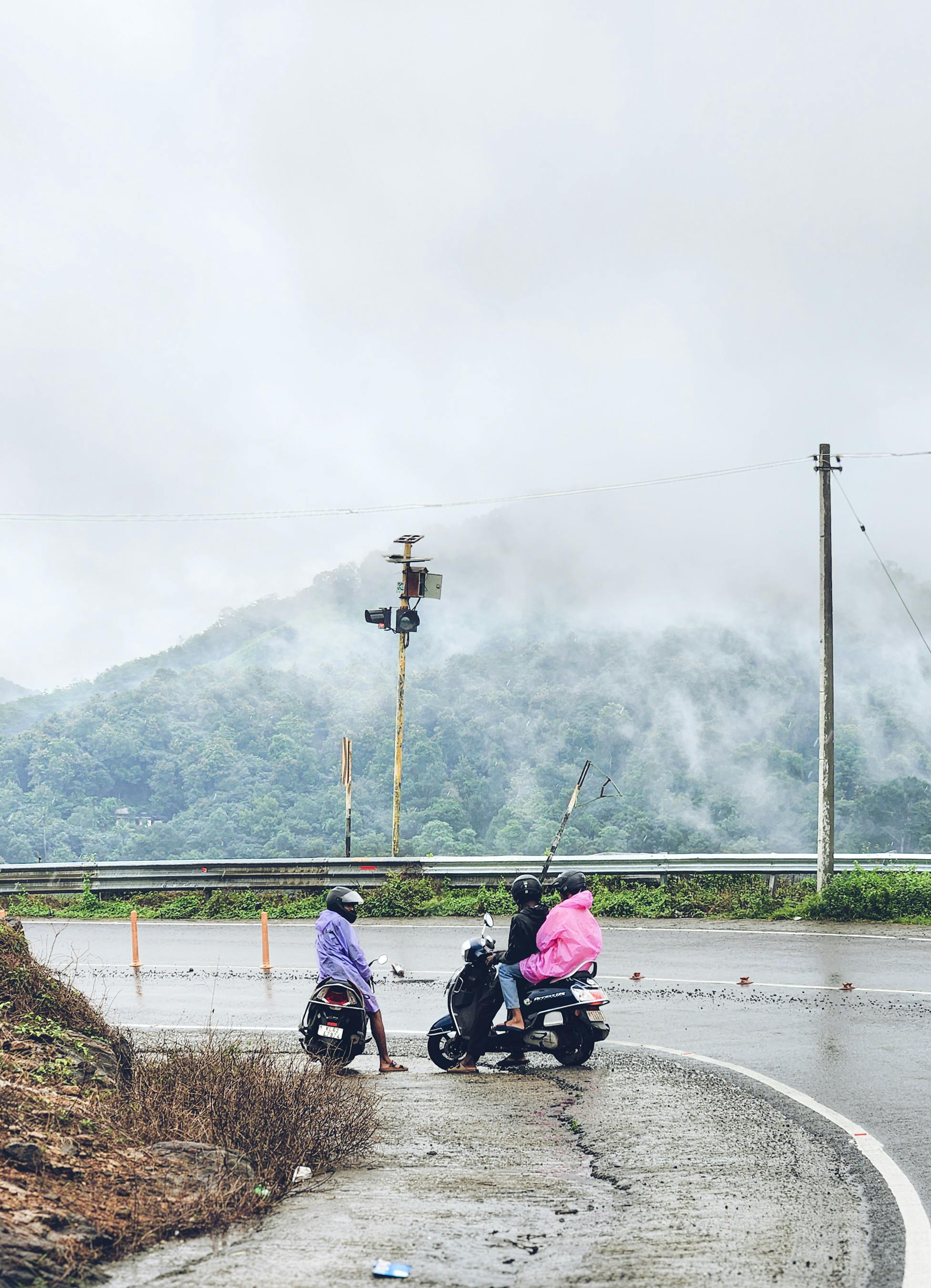 Kerala Mezeleri Photos, Download The BEST Free Kerala Mezeleri Stock ...