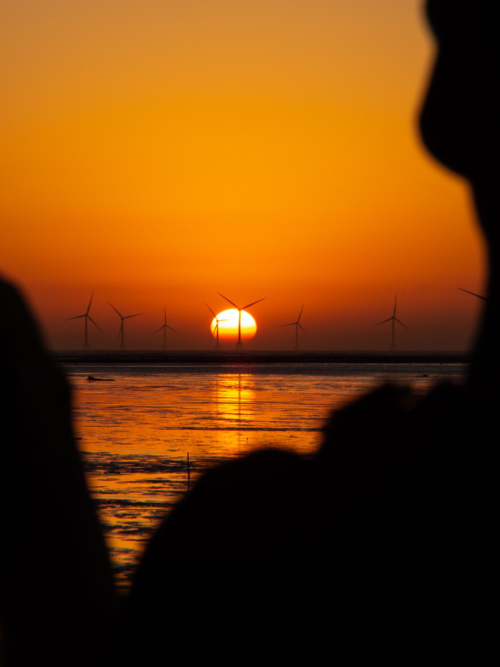 Sun No Background Photos, Download The BEST Free Sun No Background ...
