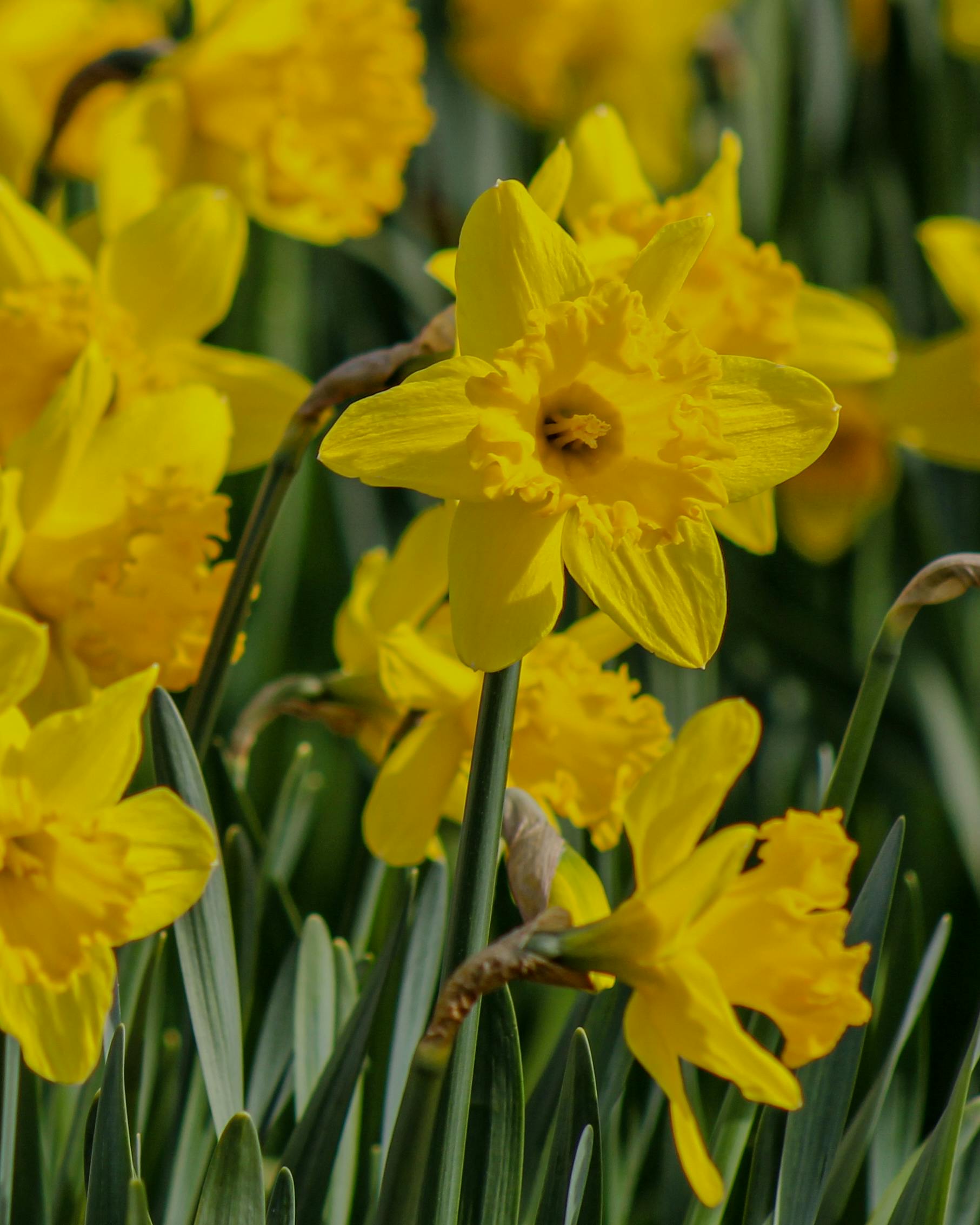 Palacio Verde Photos, Download The BEST Free Palacio Verde Stock Photos ...