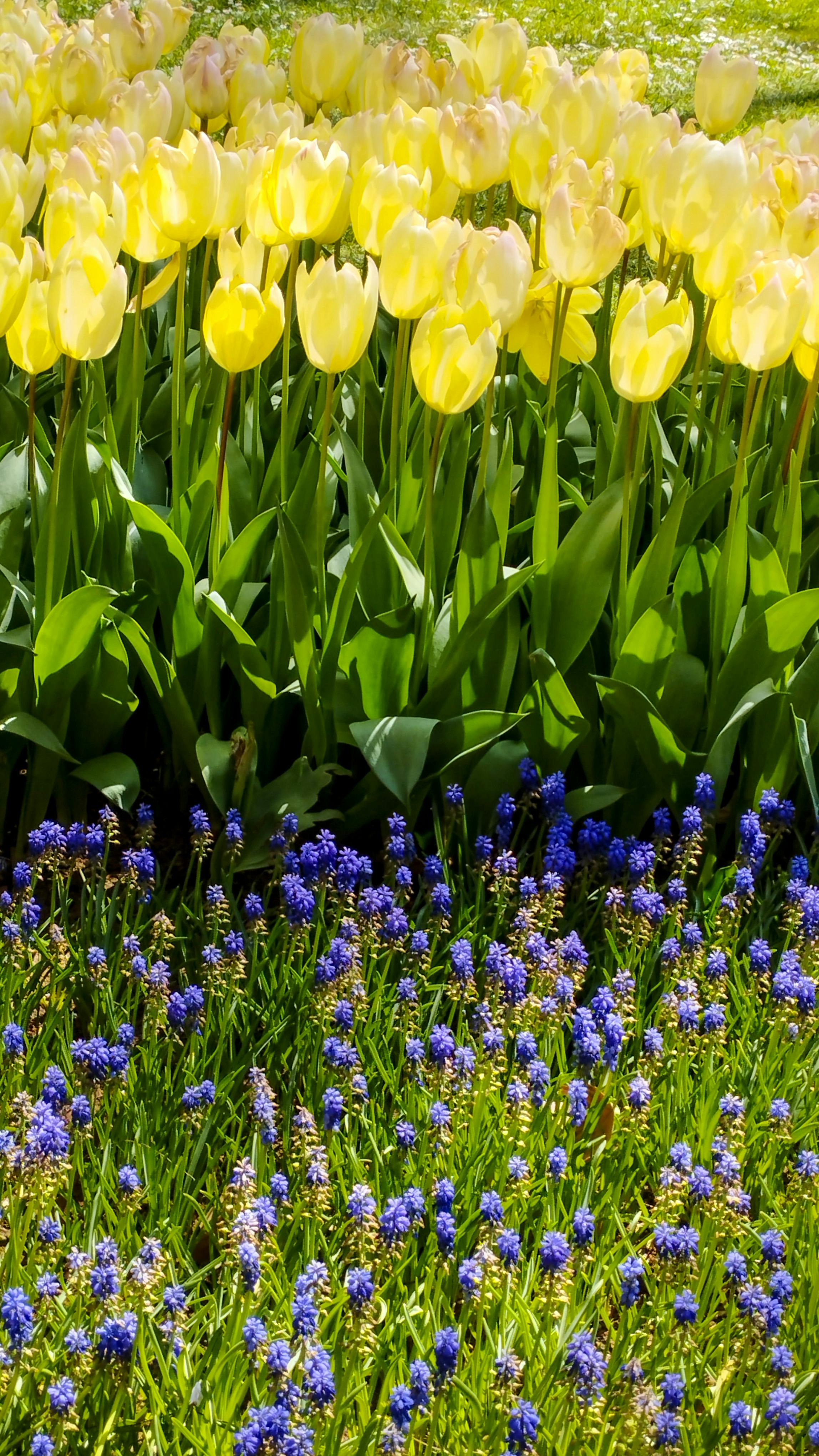 Marvelous Colors Photos, Download The BEST Free Marvelous Colors Stock ...