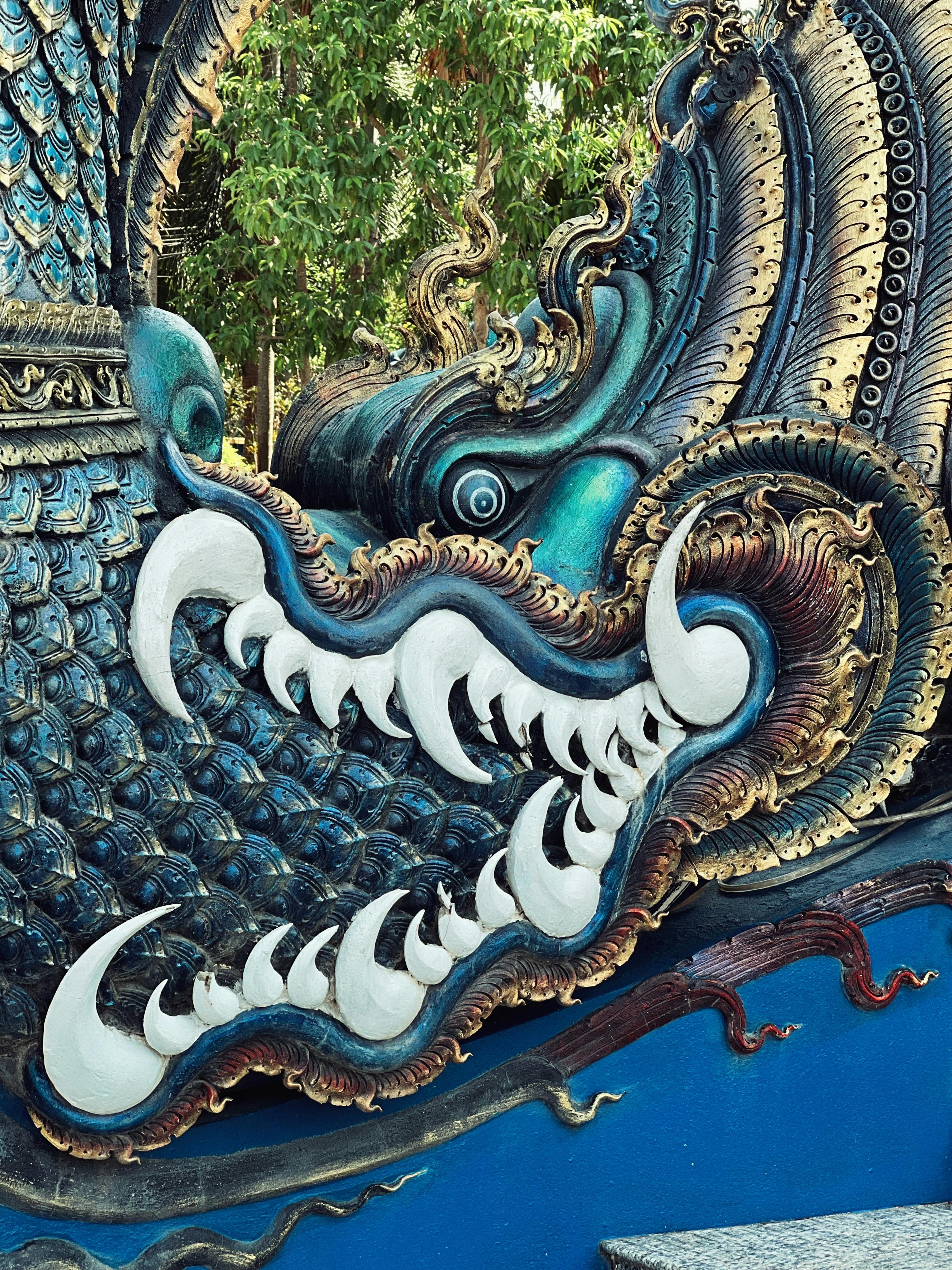 Natural Dragon Photos, Download The BEST Free Natural Dragon Stock ...