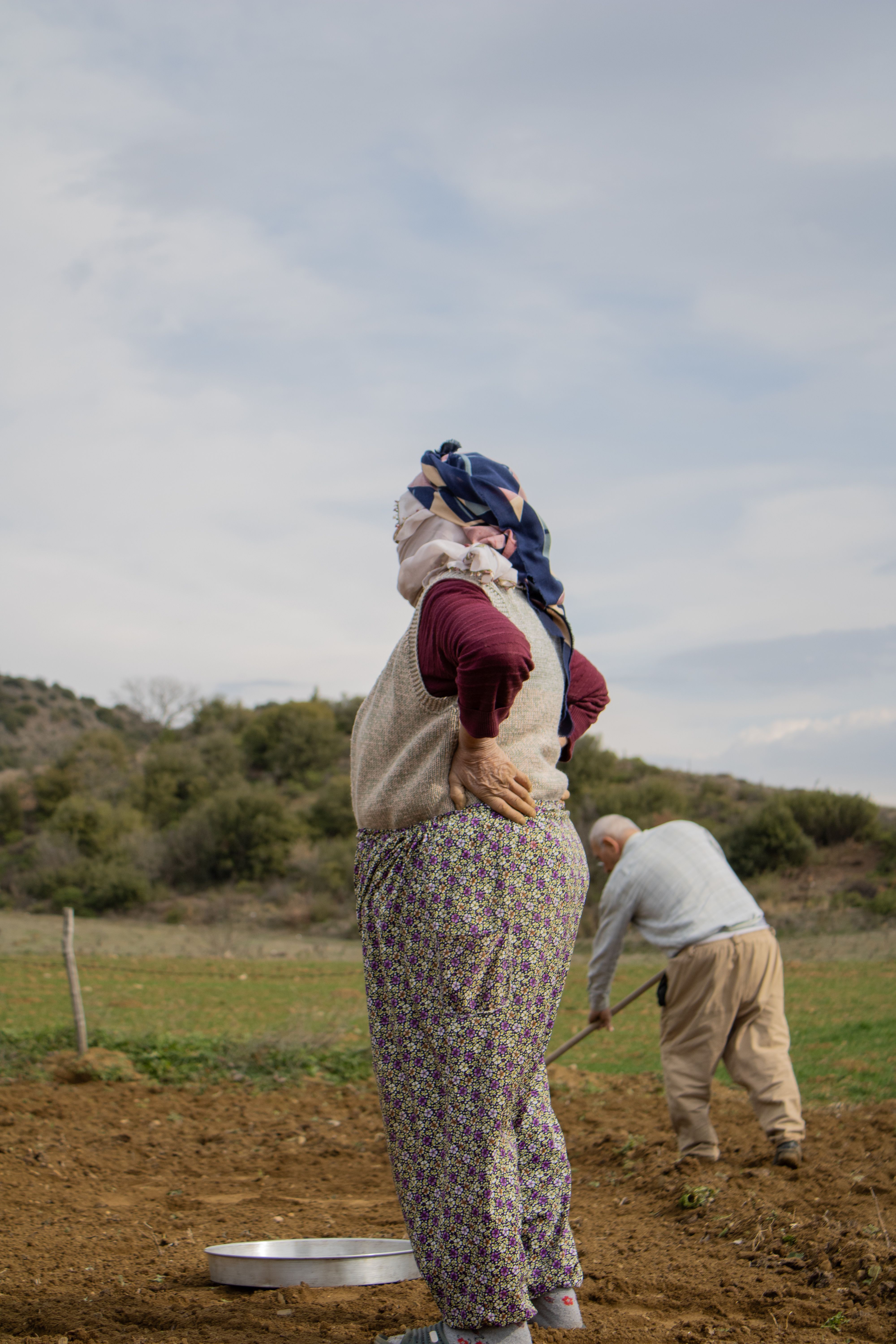 Elderly Farmers Working in a Countryside Field · Free Stock Photo
