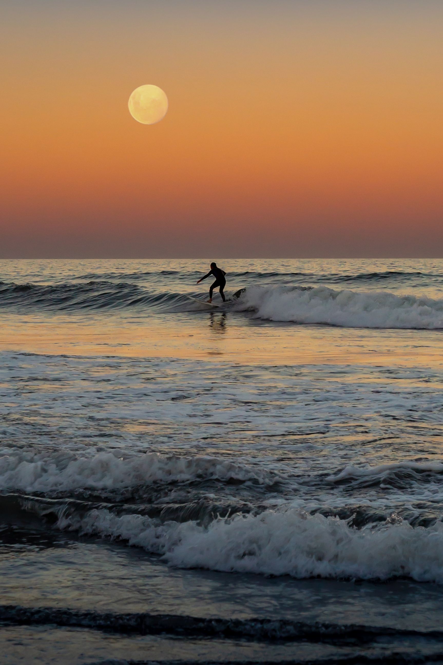 Luna Y Surf · Foto de stock gratuita