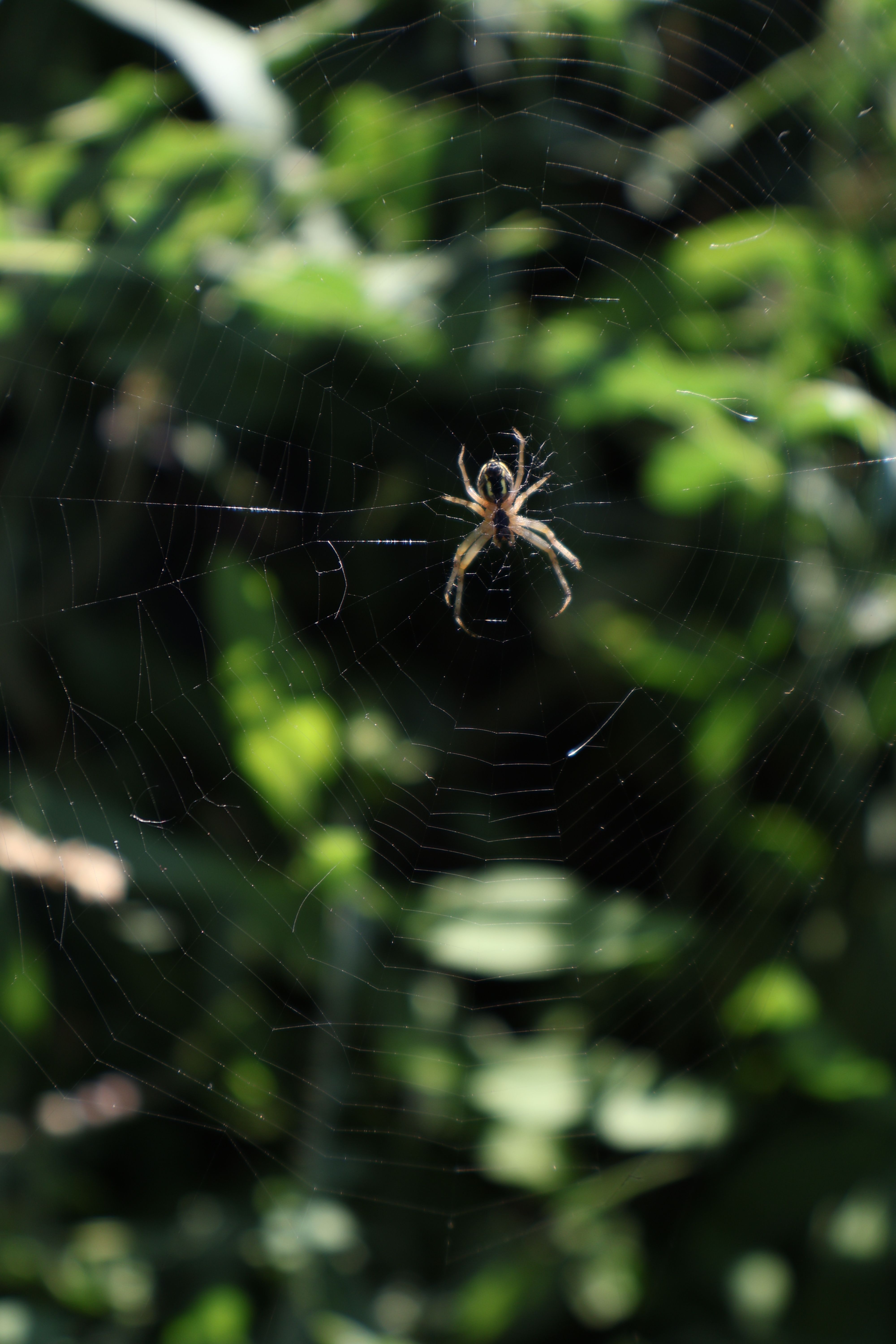4k Horizontal Wallpapers Spider Man Photos, Download The BEST Free 4k ...