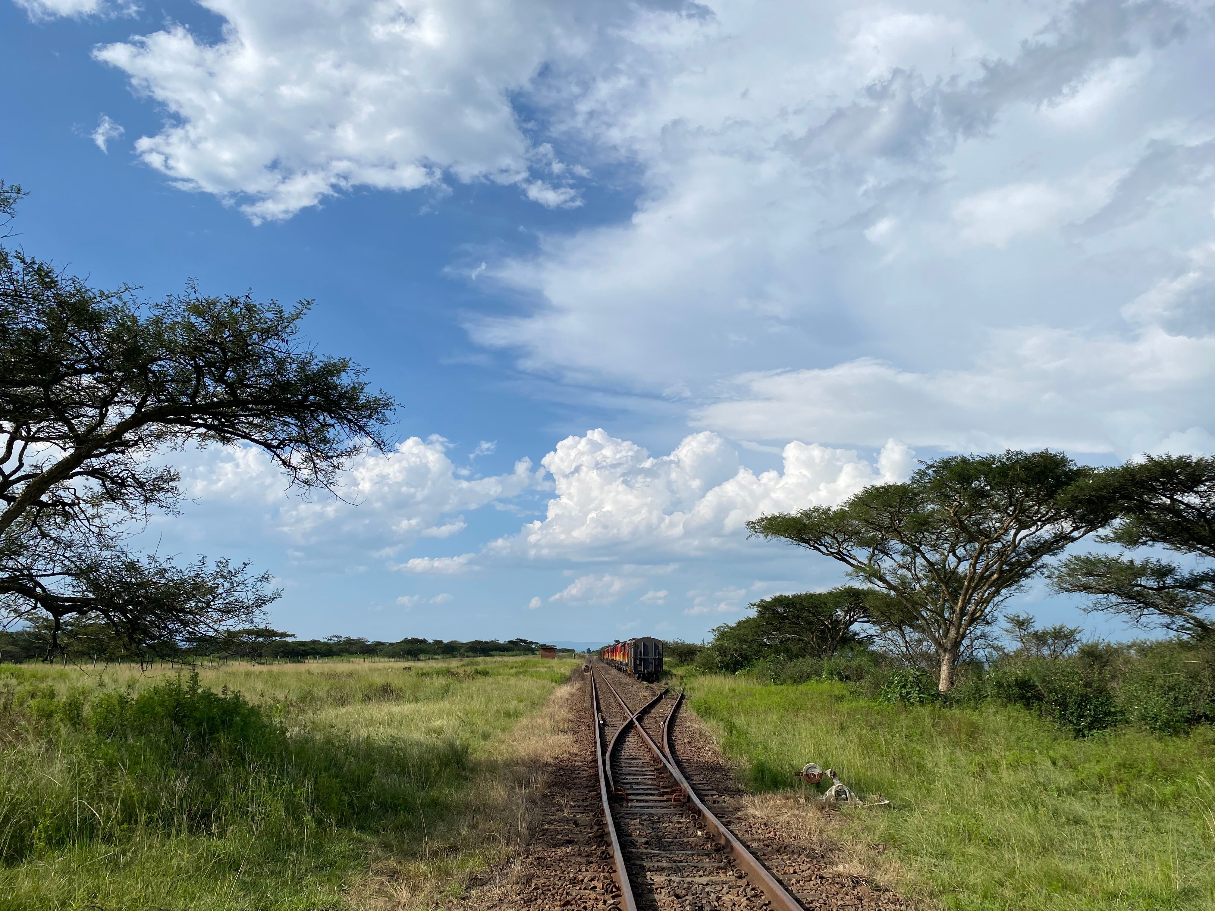 Scenic Railway Tracks in Rural Landscape · Free Stock Photo