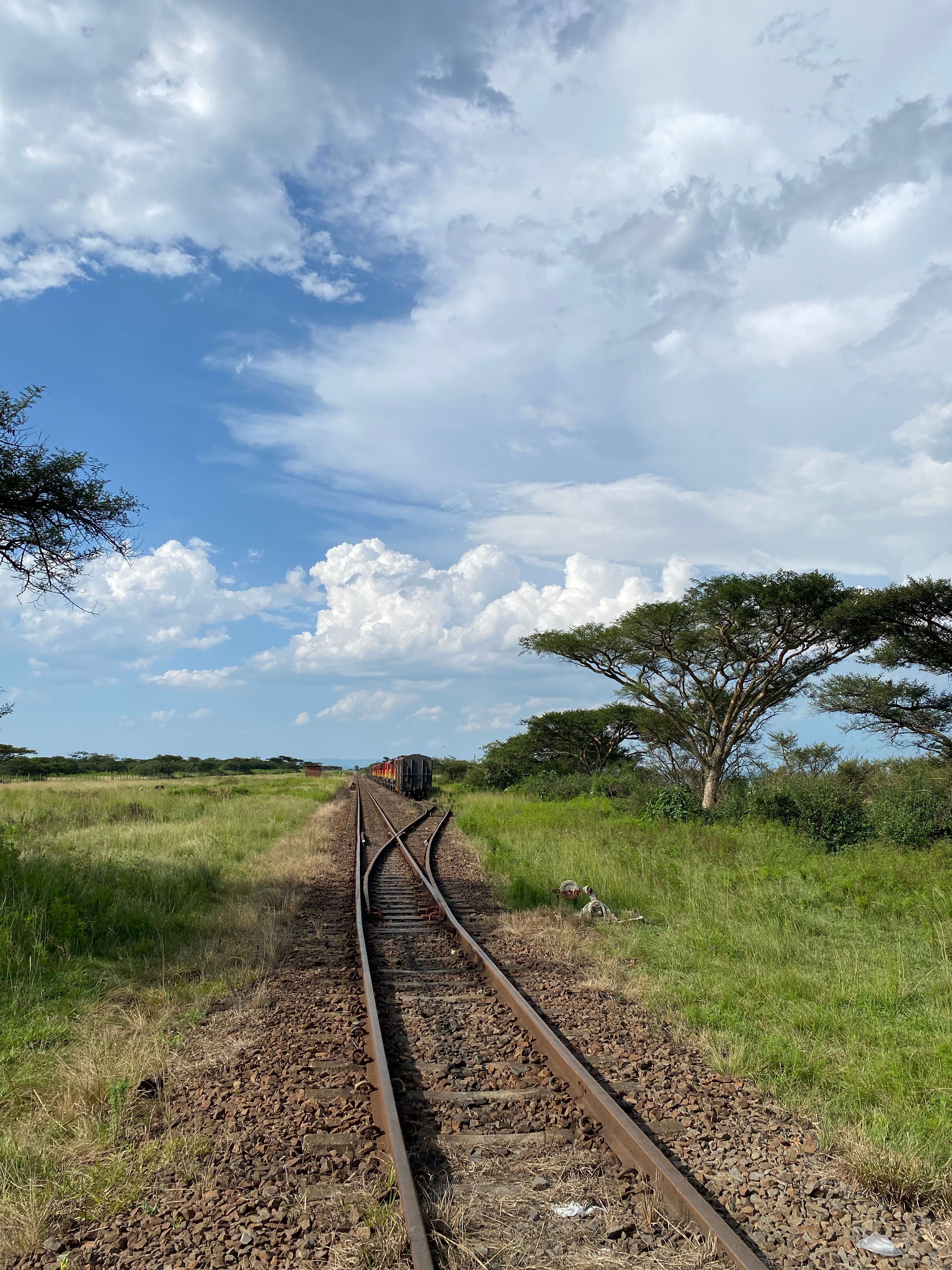 Scenic Railway Track in African Grassland · Free Stock Photo