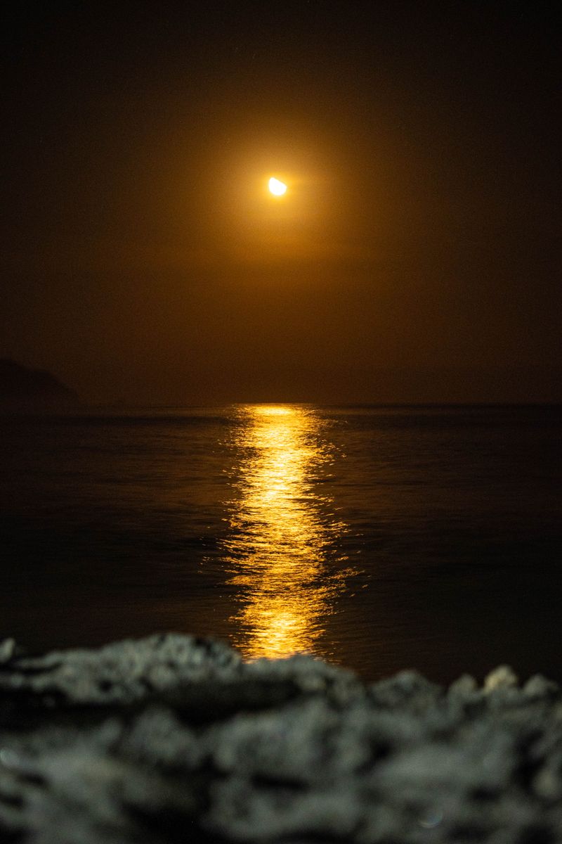 Moon Over Ocean Photos, Download The BEST Free Moon Over Ocean Stock ...
