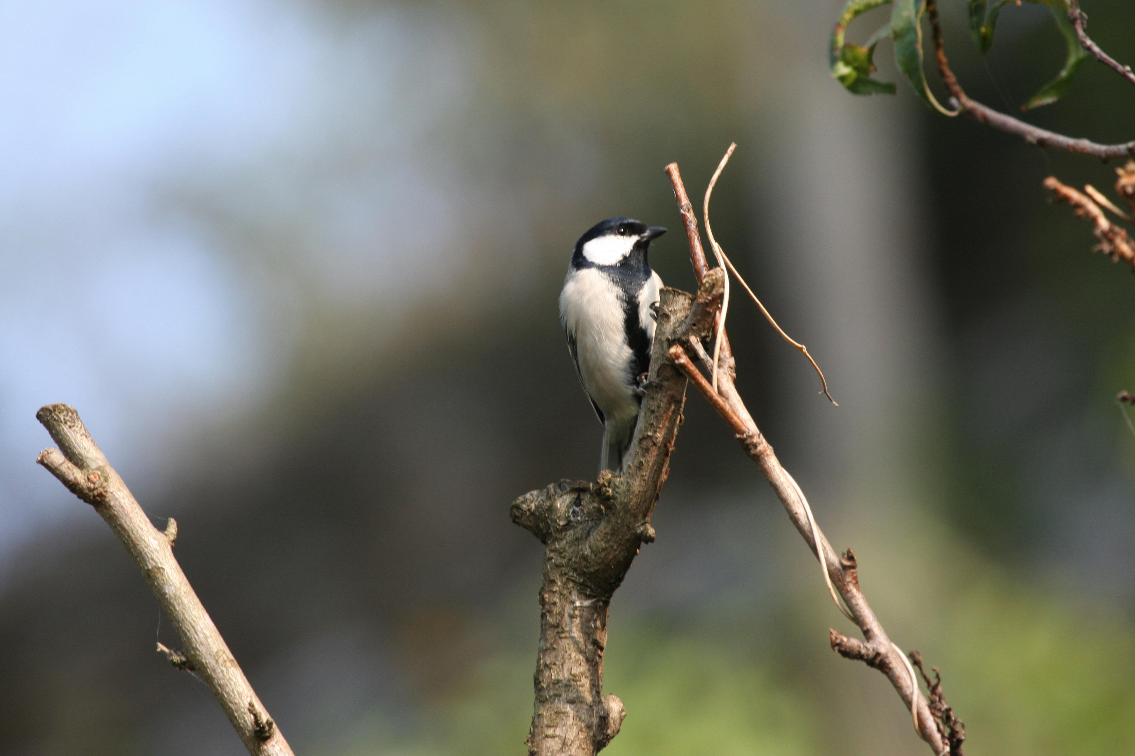 Uno Agile Photos, Download The BEST Free Uno Agile Stock Photos & HD Images