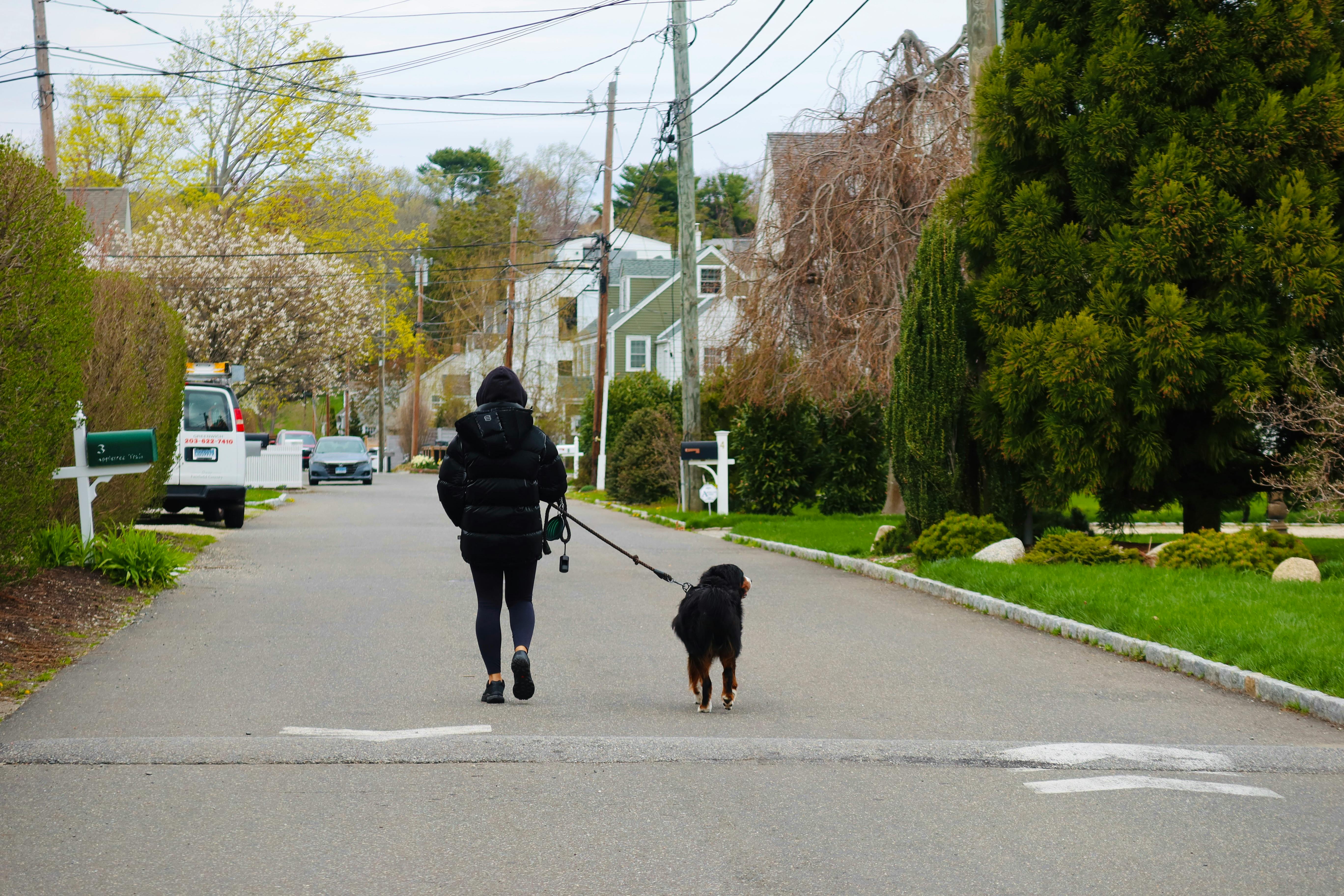 Persona Paseando A Su Perro En Un Barrio Suburbano · Foto de stock gratuita