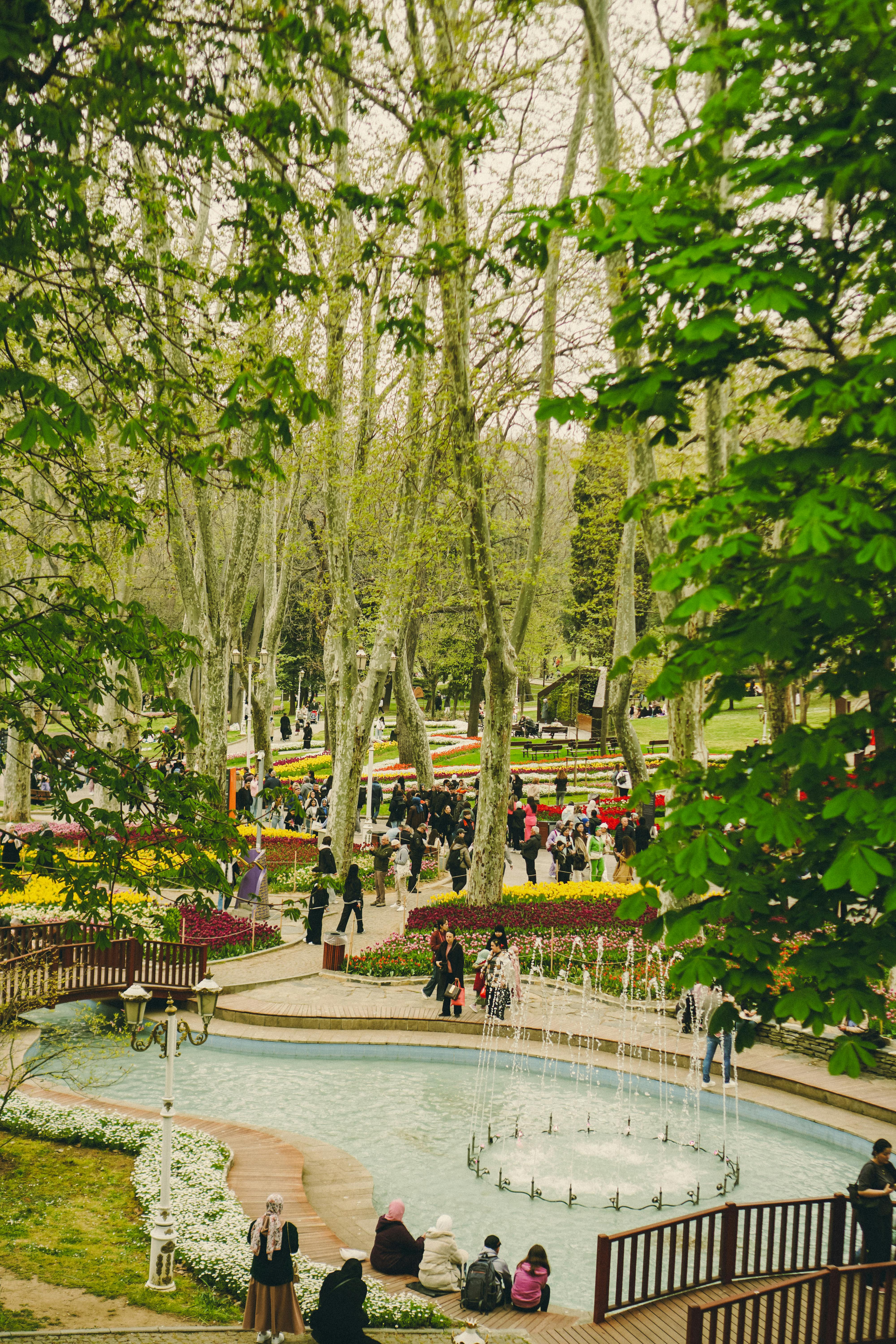 Lively Spring Day in a Bustling Park · Free Stock Photo