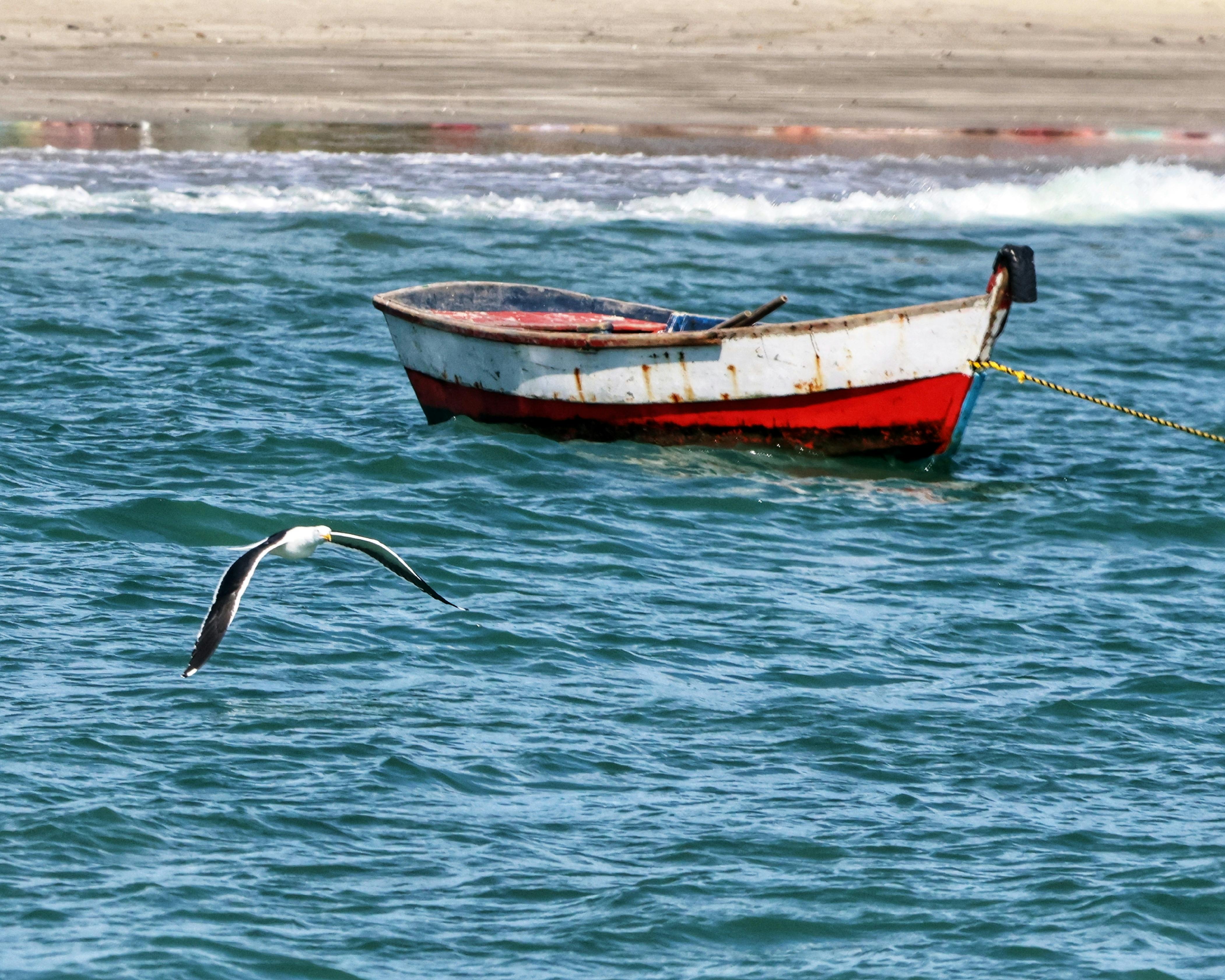 Fly By Night (Film) Photos, Download The BEST Free Fly By Night (Film ...