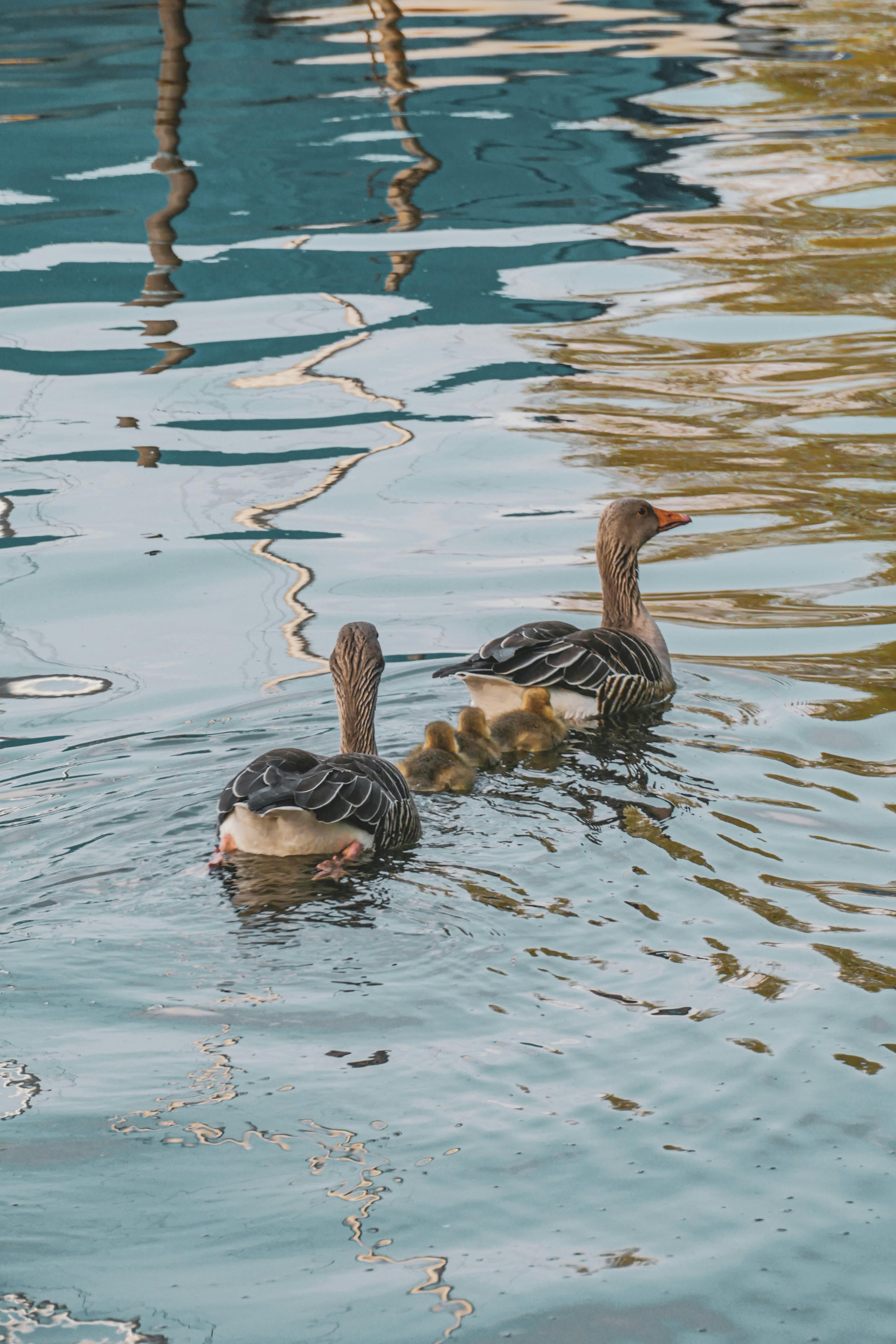 Logical Order Photos, Download The BEST Free Logical Order Stock Photos ...