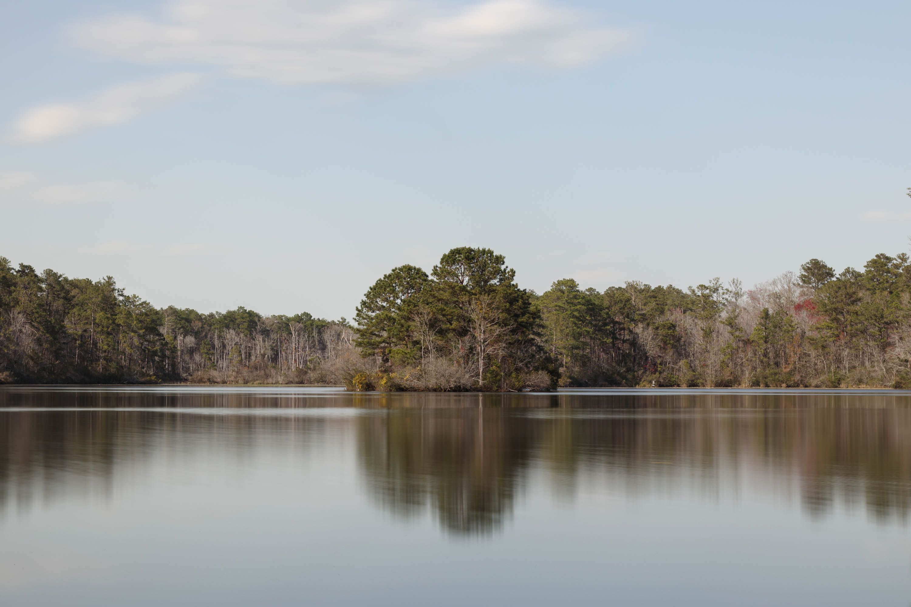 Serene Lake Landscape in South Carolina · Free Stock Photo