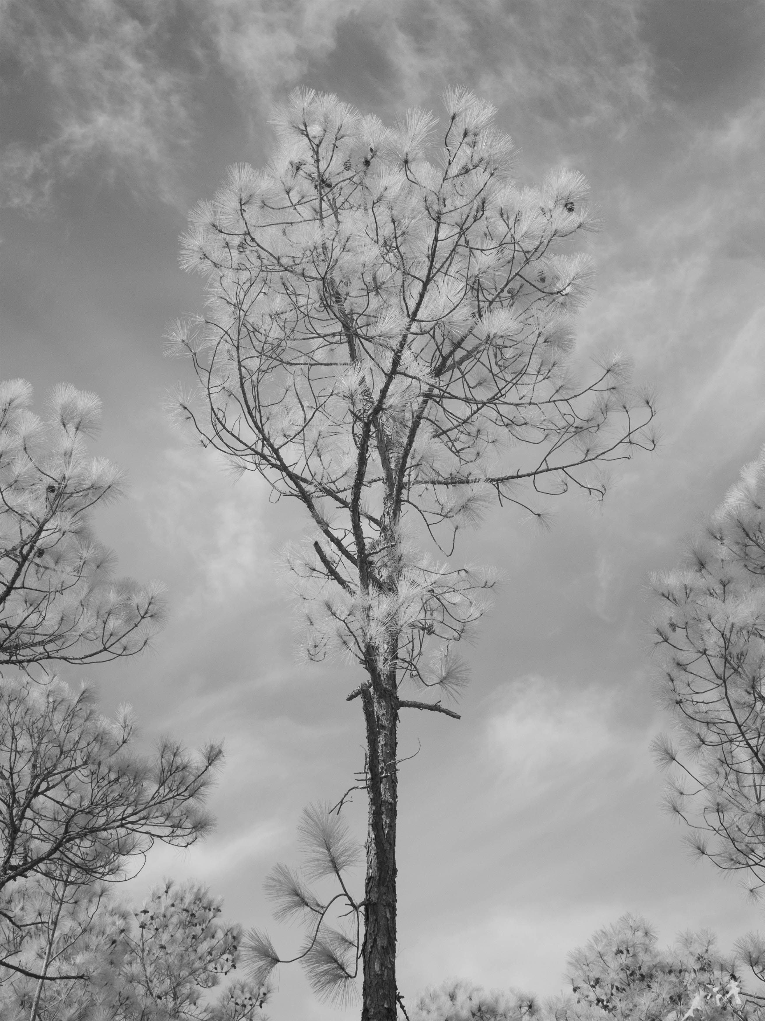 Sky Realistic Photos, Download The BEST Free Sky Realistic Stock Photos ...