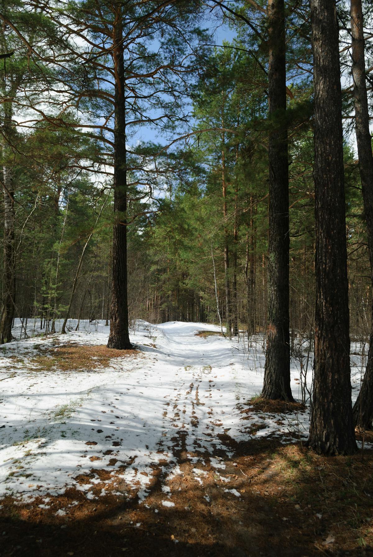 Free Pix Photos, Download The BEST Free Free Pix Stock Photos & HD Images