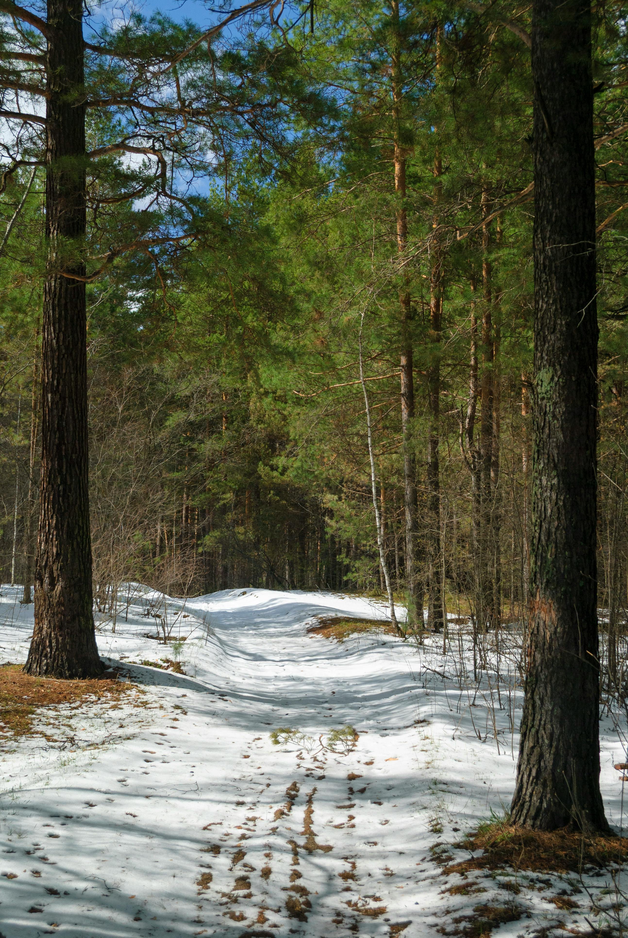 Spring Lock Screen Wallpaper Photos, Download The BEST Free Spring Lock ...