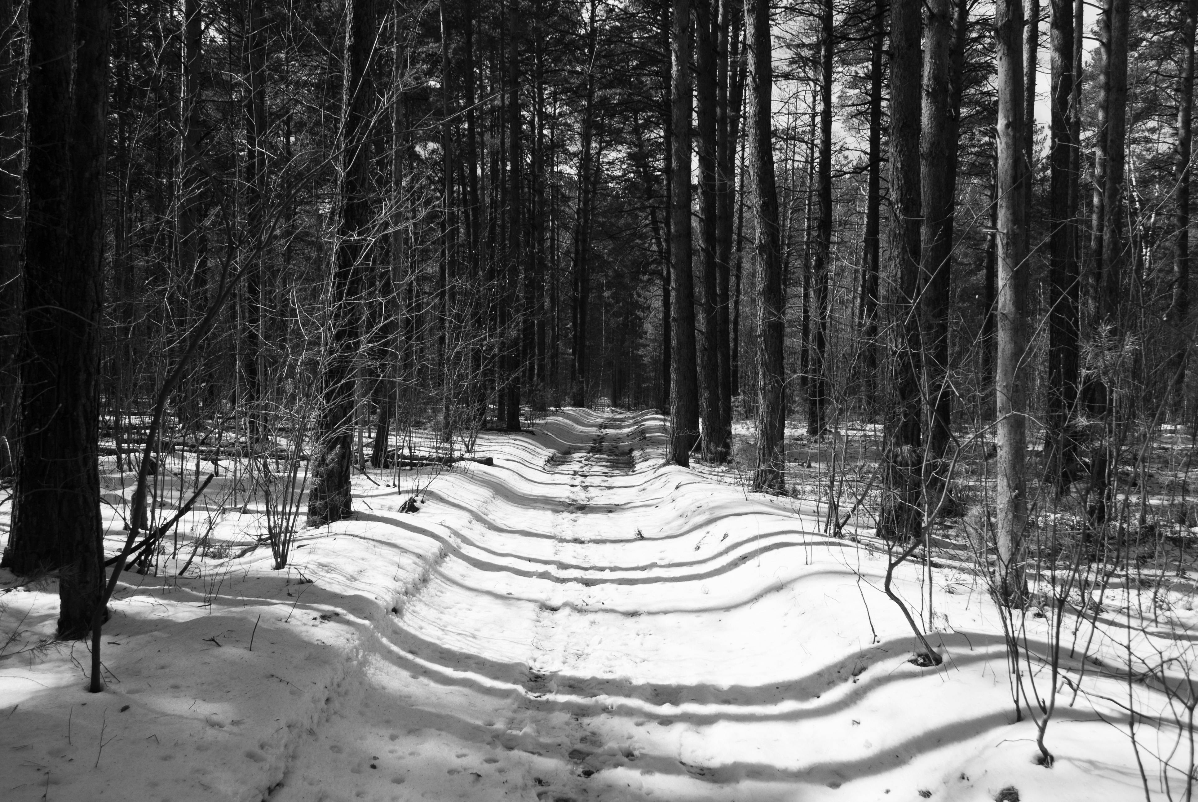 Free Wallpaper Human Live Photos, Download The BEST Free Free Wallpaper ...