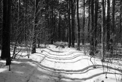 Free Avatars Photos, Download The BEST Free Free Avatars Stock Photos ...