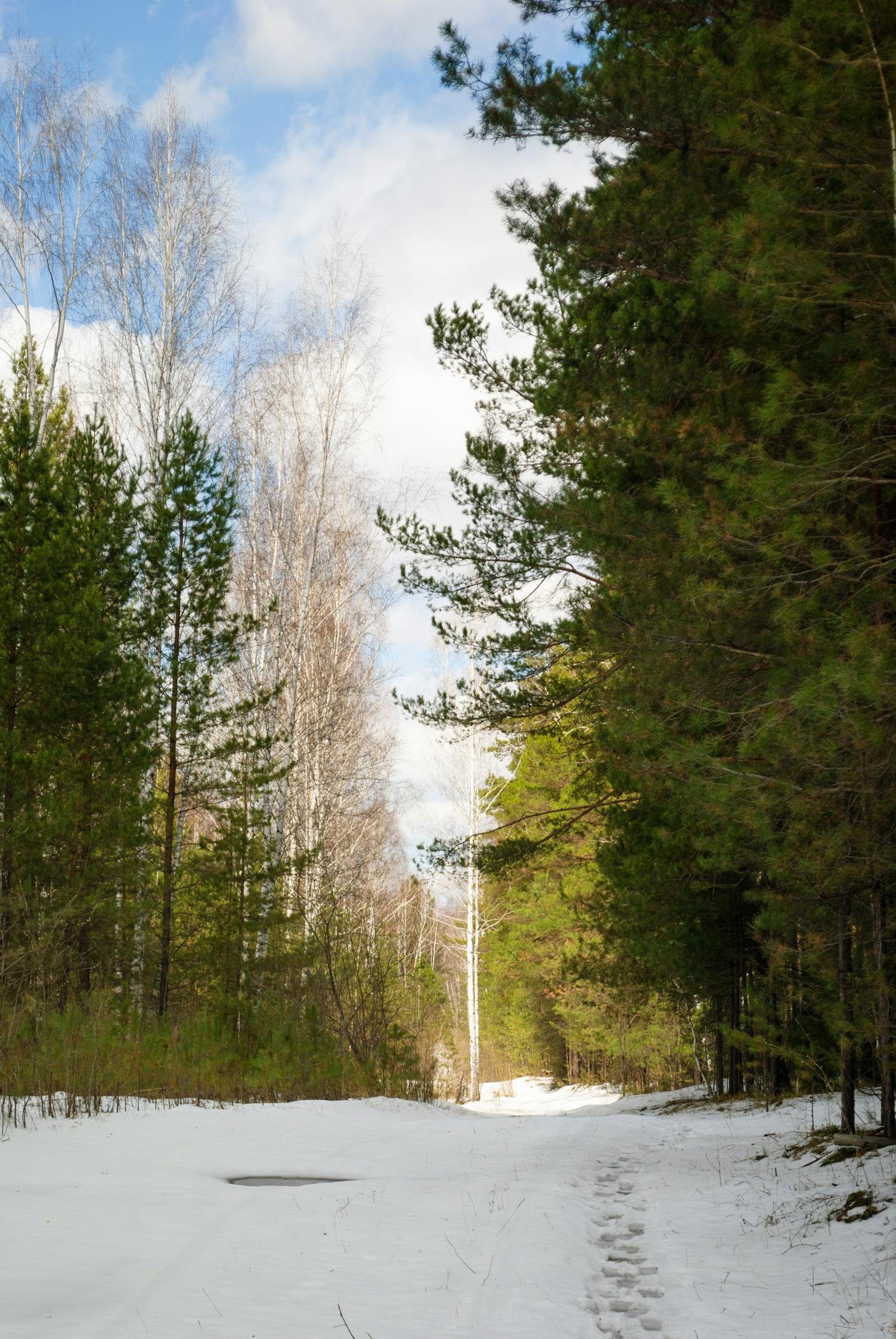 Free Pix Photos, Download The BEST Free Free Pix Stock Photos & HD Images