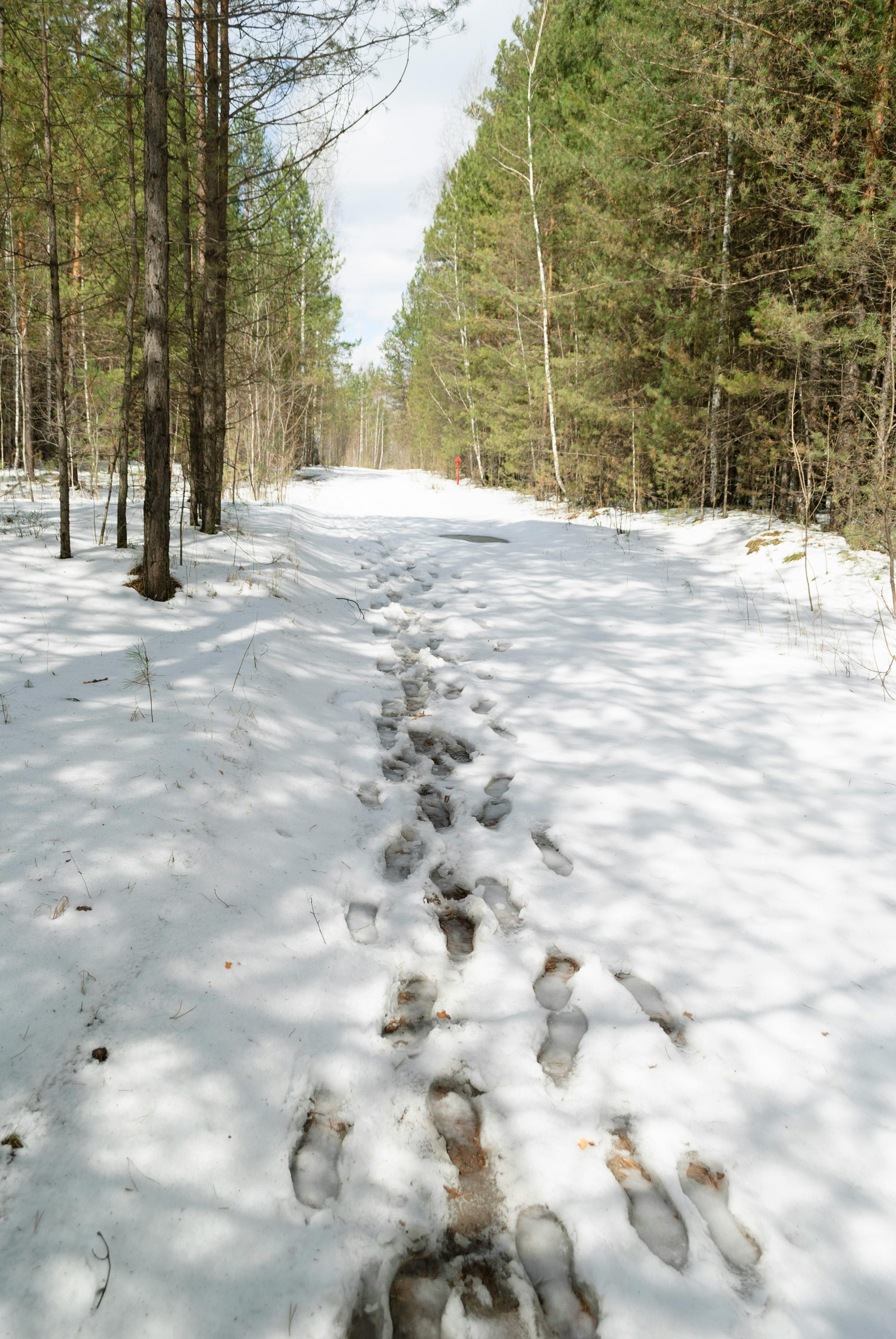 Spring Lock Screen Wallpaper Photos, Download The BEST Free Spring Lock ...