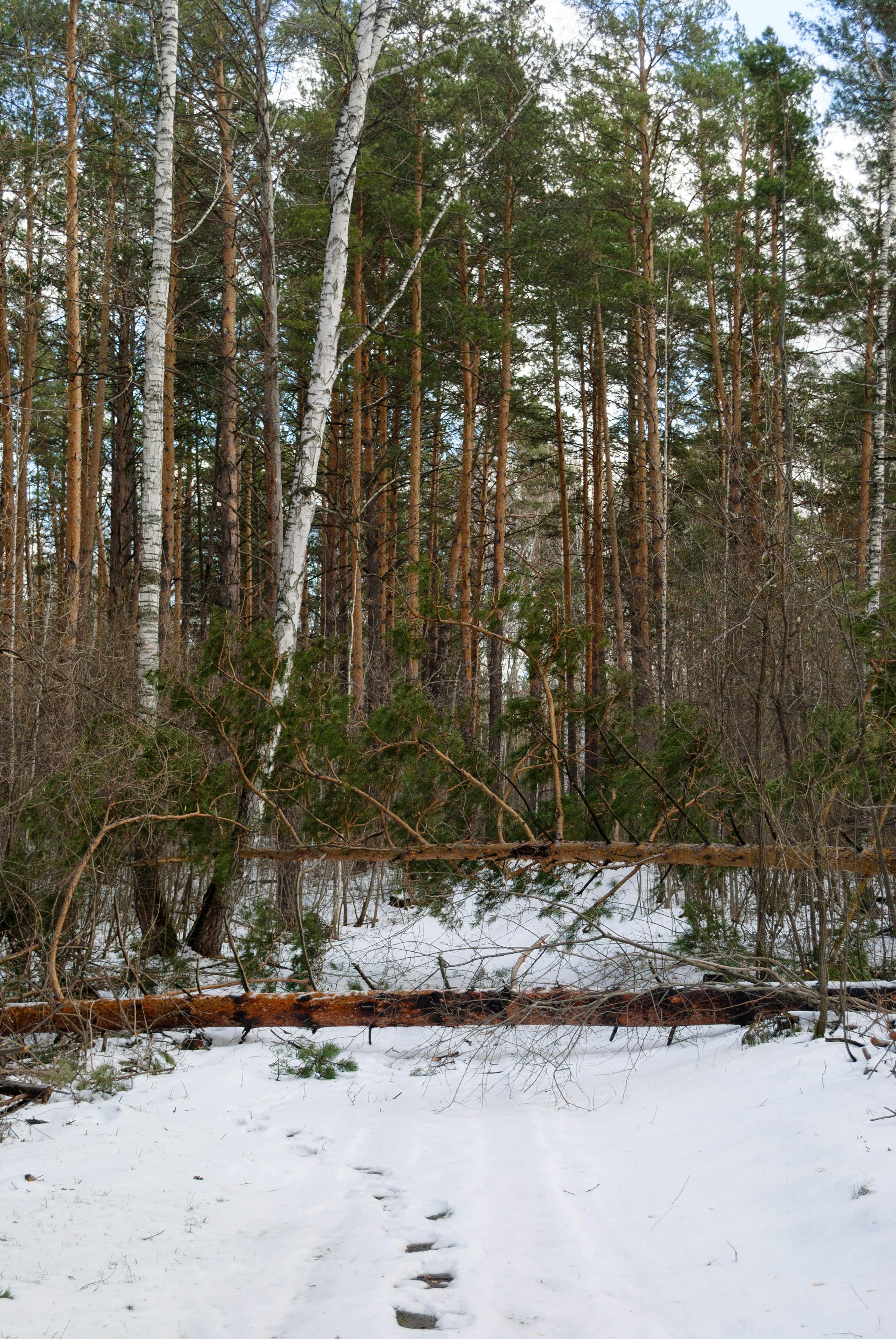 Spring Lock Screen Wallpaper Photos, Download The BEST Free Spring Lock ...